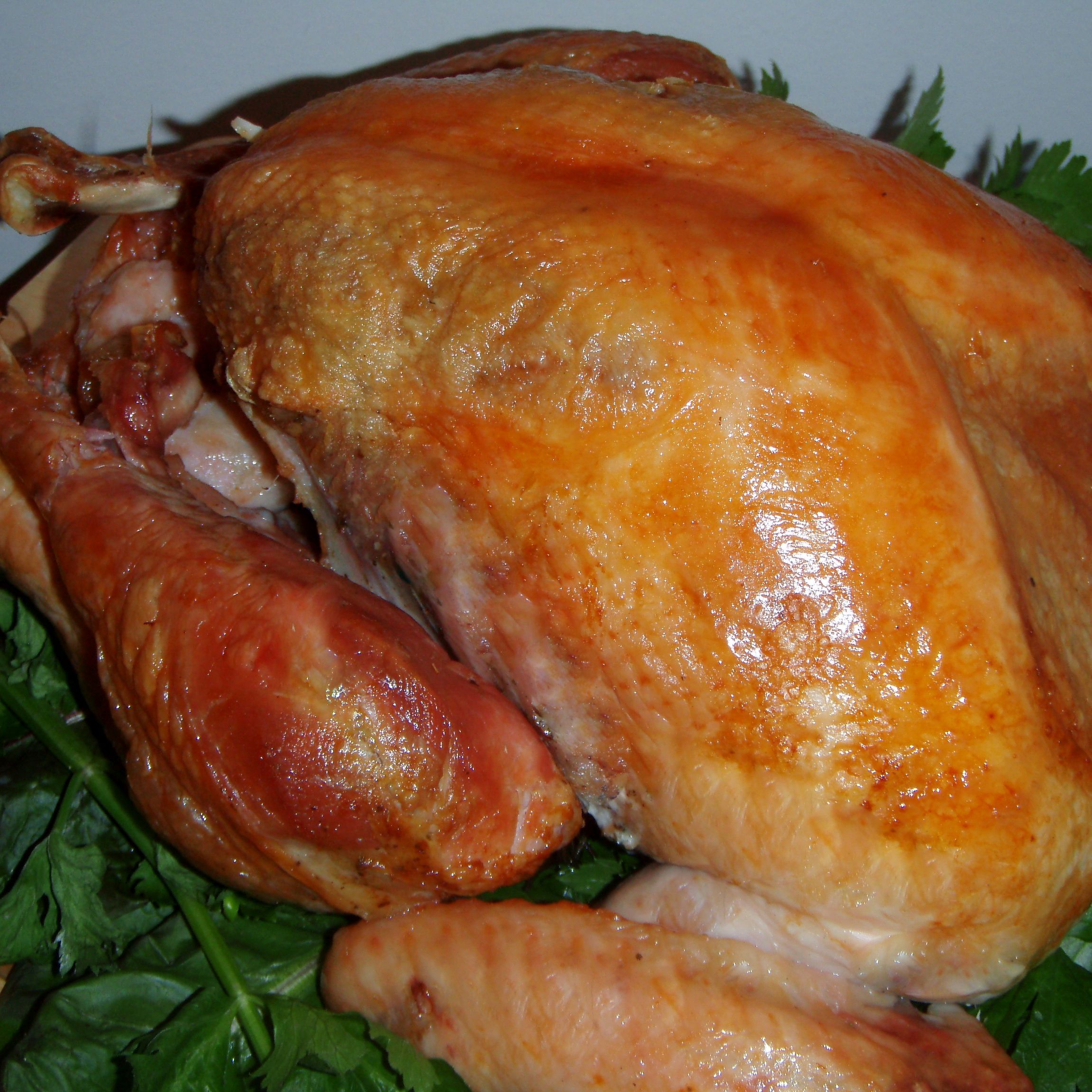 Optimize Your Turkey: Perfect White Meat and Succulent Dark Meat : 7 ...