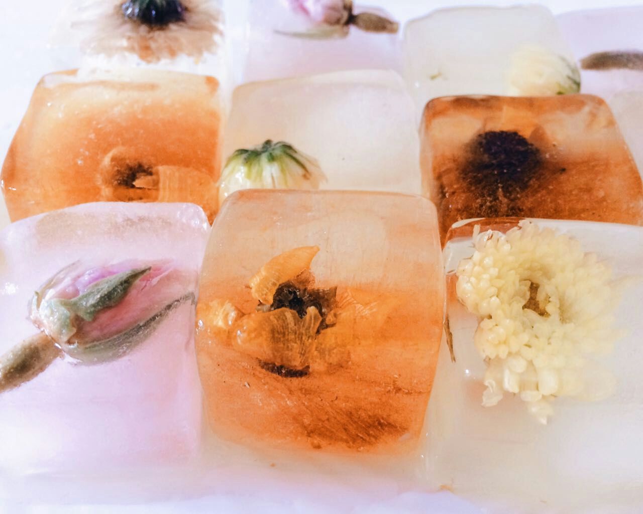 Herbal Tea Ice Cubes (T-Cubes) (with Pictures) - Instructables