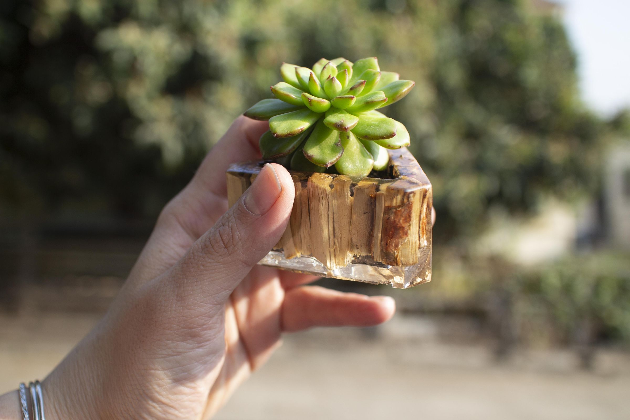 How to Use Yardwaste As Resin Filler : 11 Steps (with Pictures ...