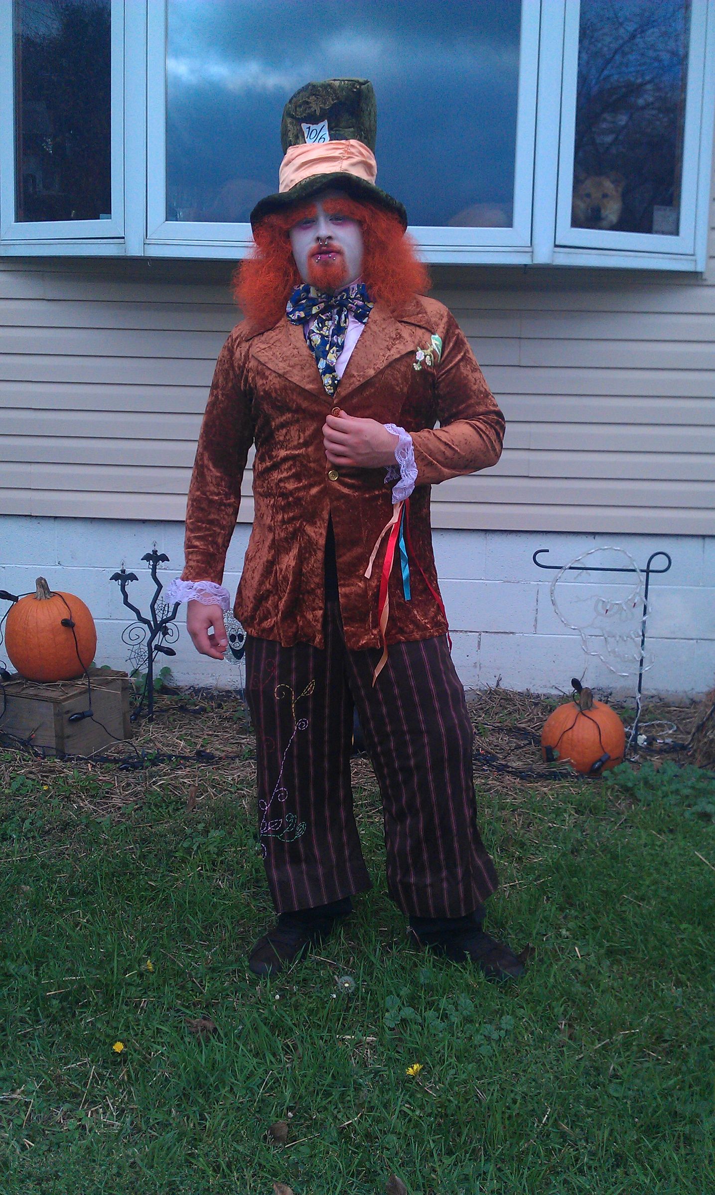 DAVID ROSE AS THE MAD HATTER - Instructables