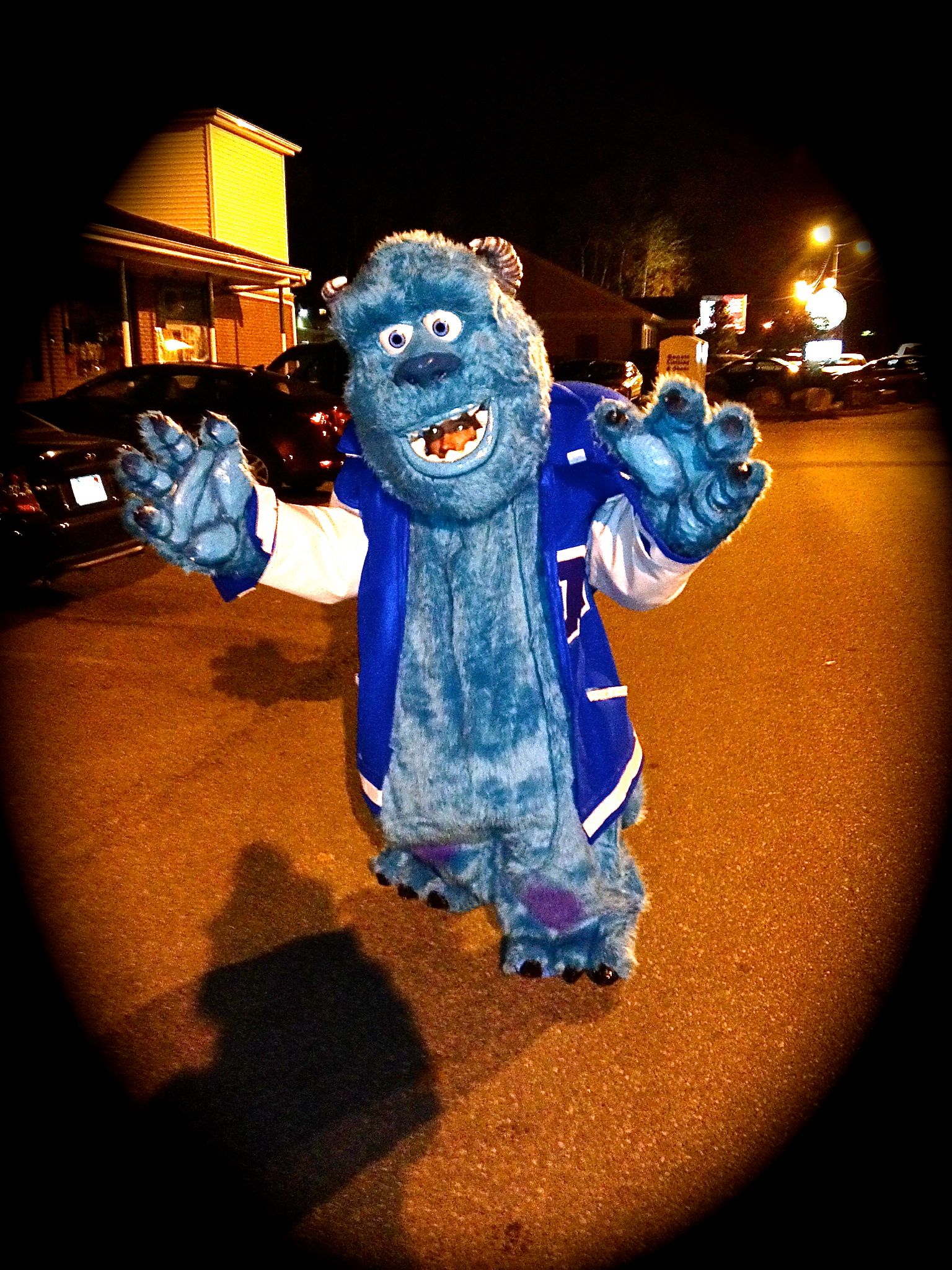 Sully Monsters Inc Sewing Pattern