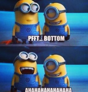 Minion Meme Bottom
