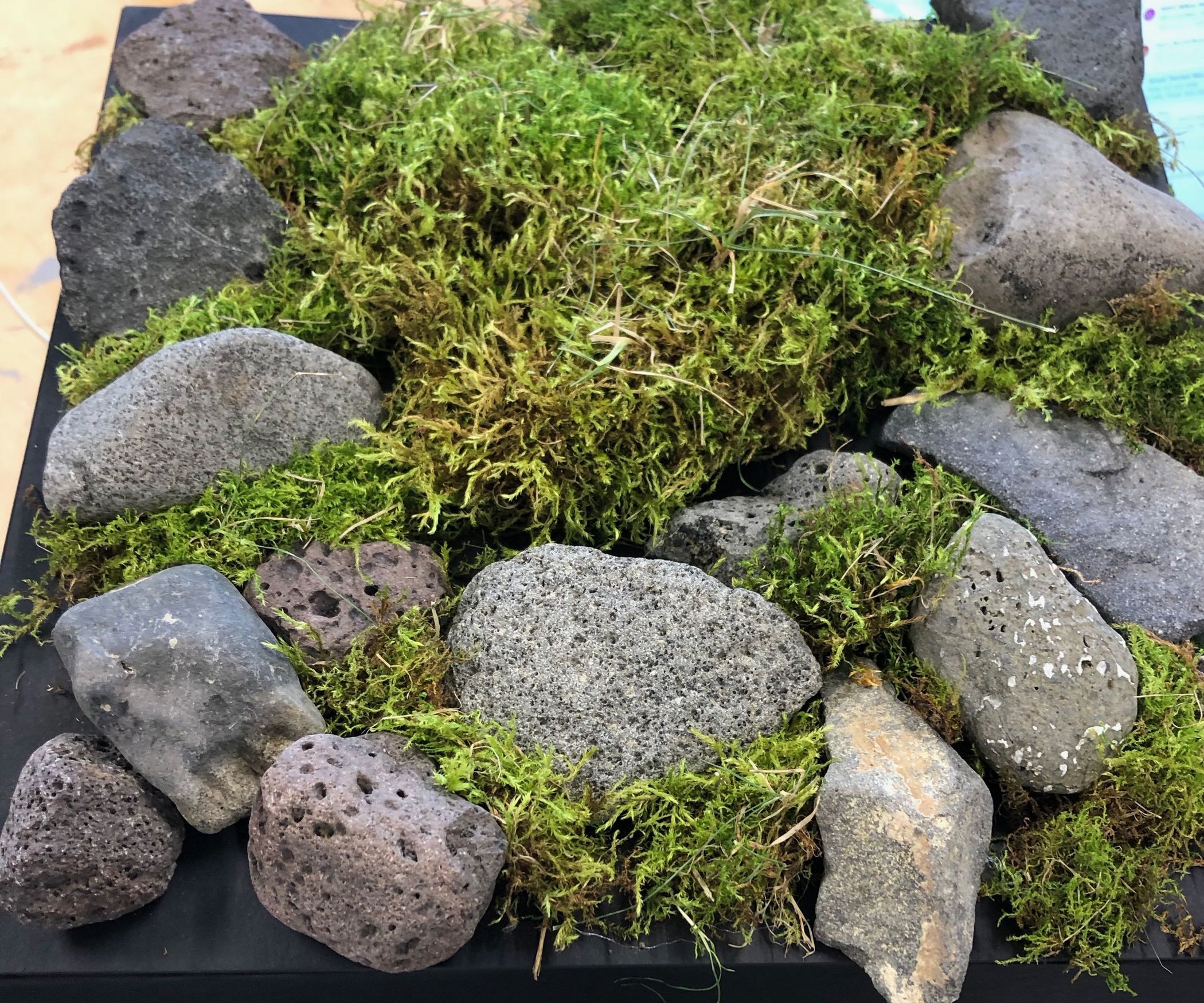 Moving Moss : 5 Steps - Instructables
