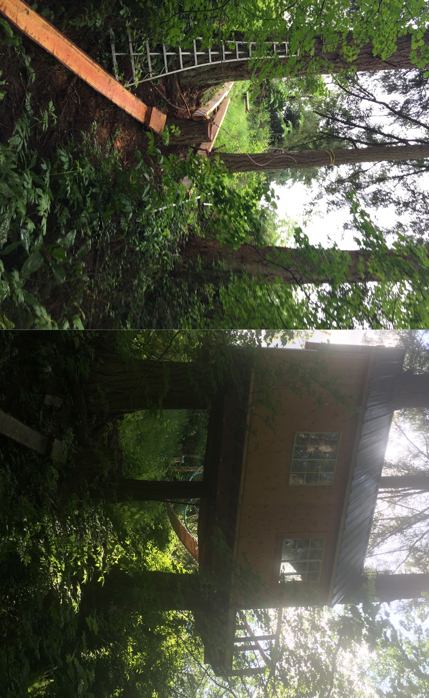 Treehouse Build : 10 Steps (with Pictures) - Instructables