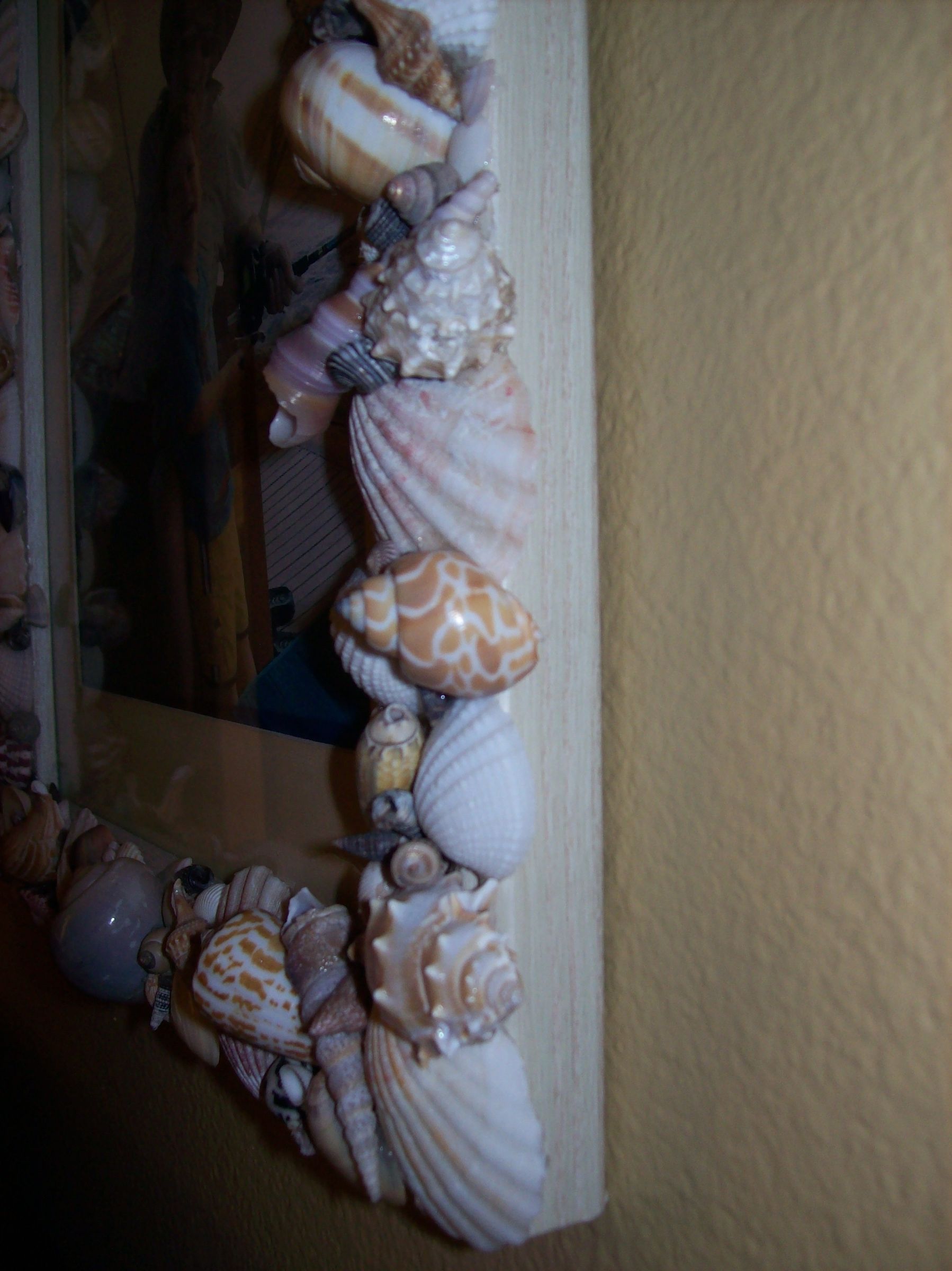 Shell-Embellished Photo Frames : 3 Steps - Instructables