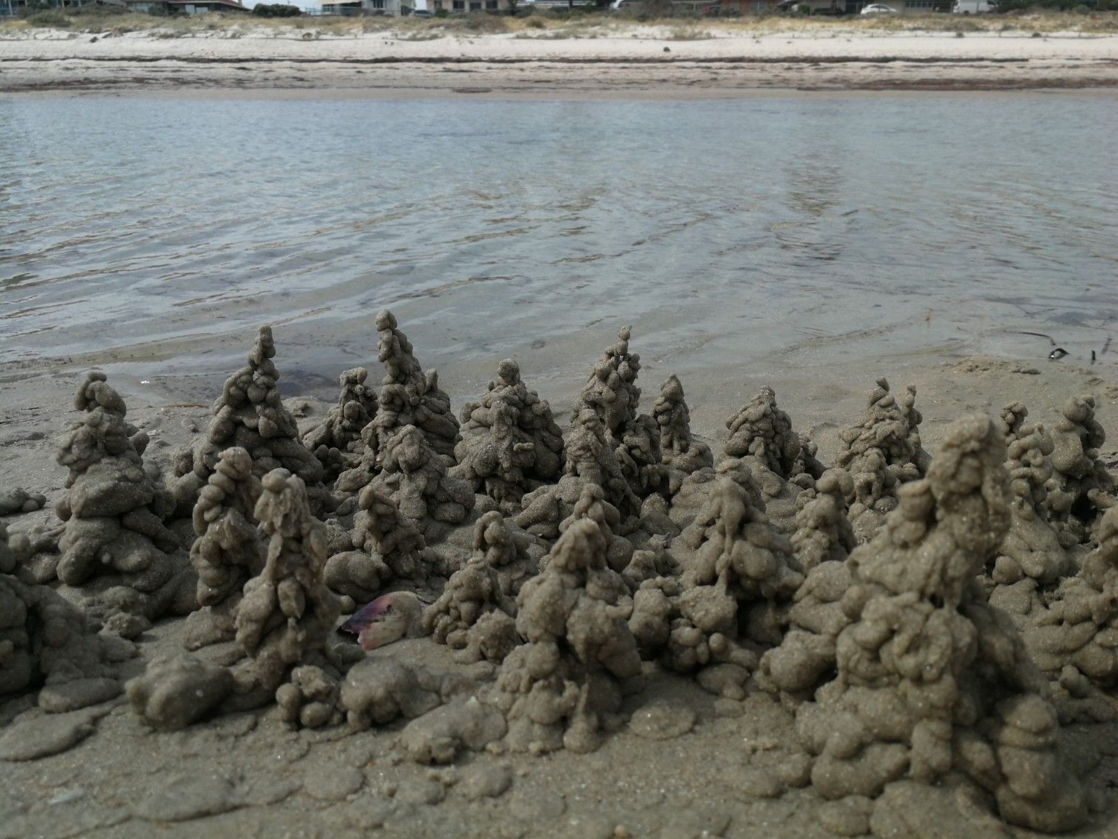 Simple Sand Sculpture - Drip Trees : 3 Steps - Instructables
