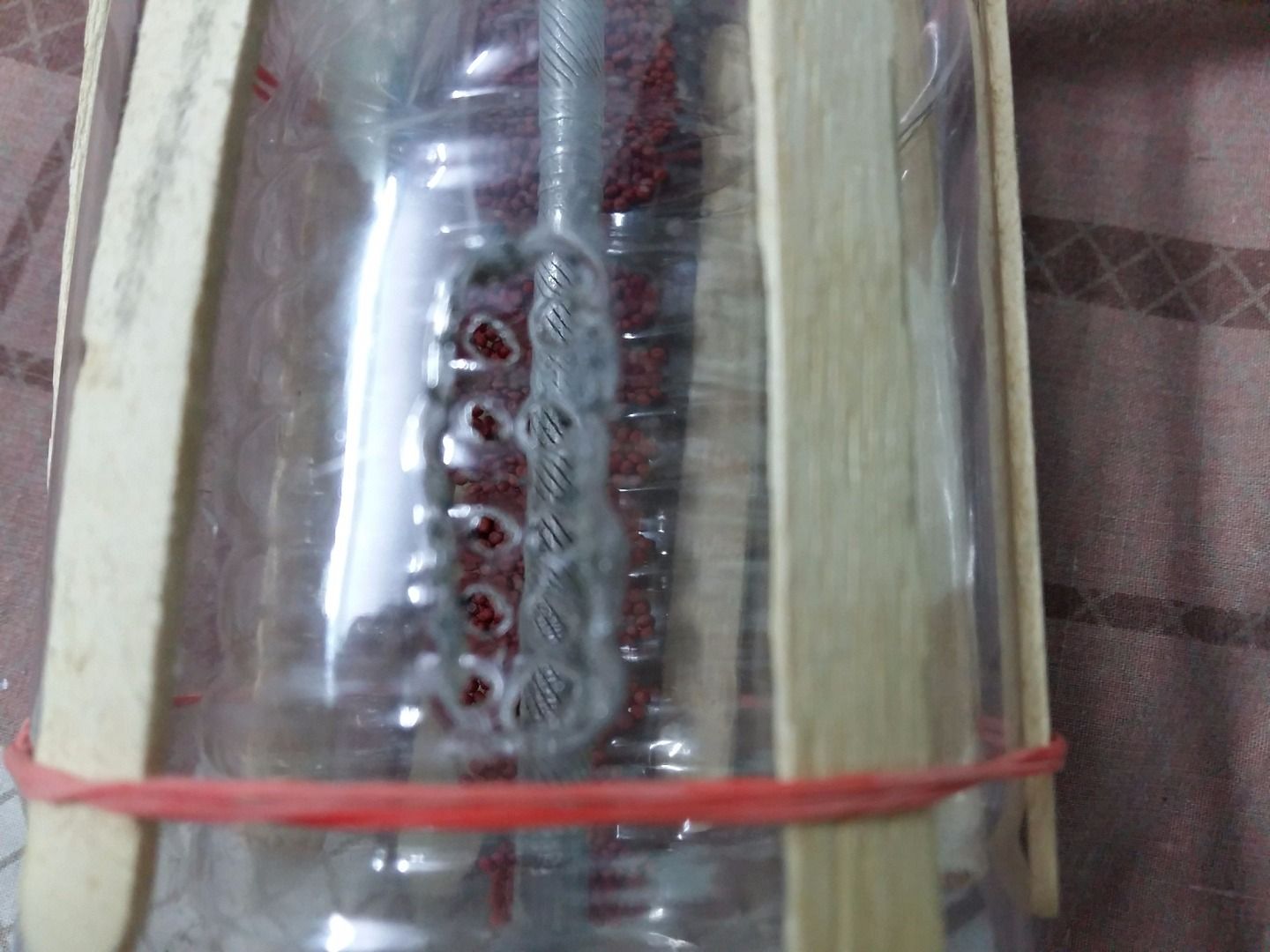 Simplest Automatic Fish Feeder : 6 Steps (with Pictures) - Instructables