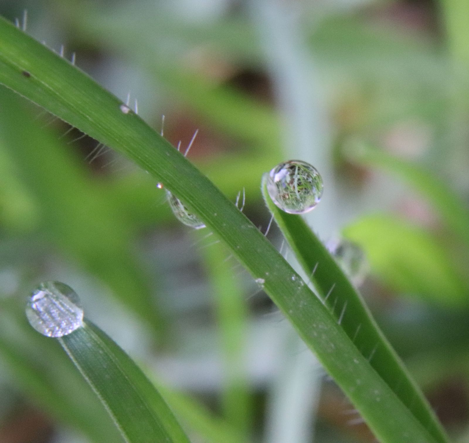 How to Make Your Own Camera Lens : 6 Steps (with Pictures) - Instructables