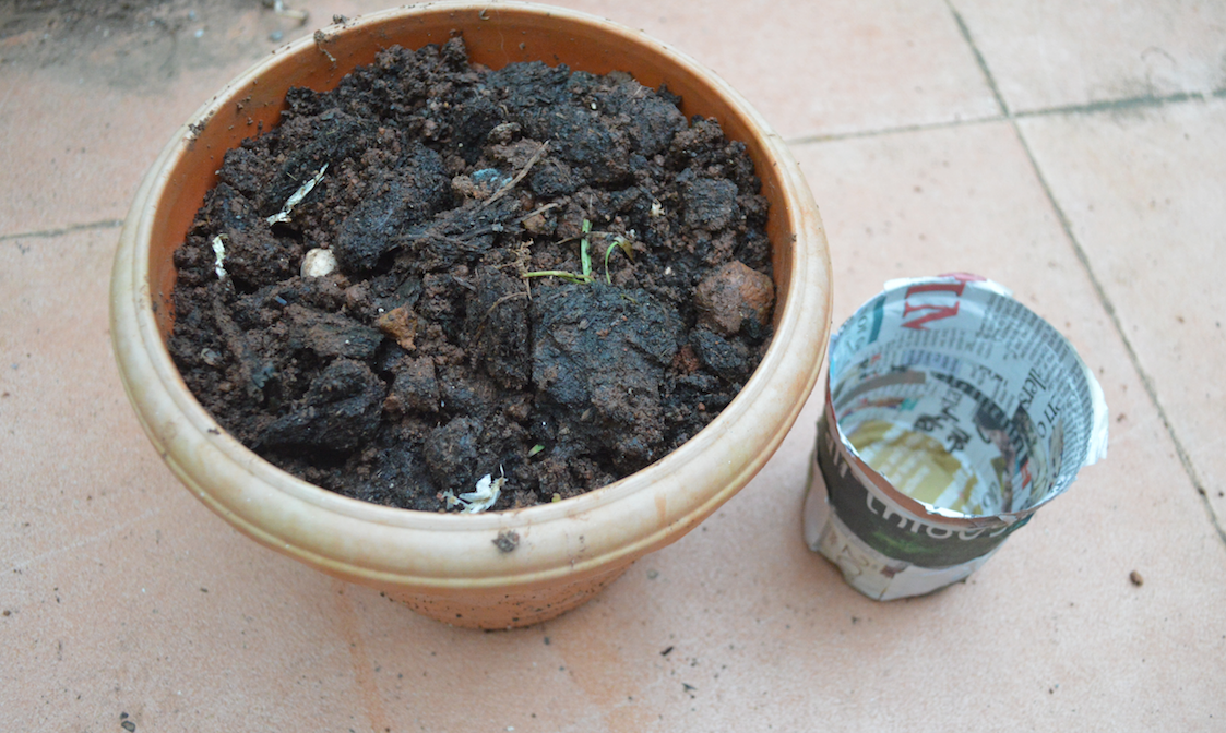 Bio Degradable Plant Pot : 7 Steps - Instructables