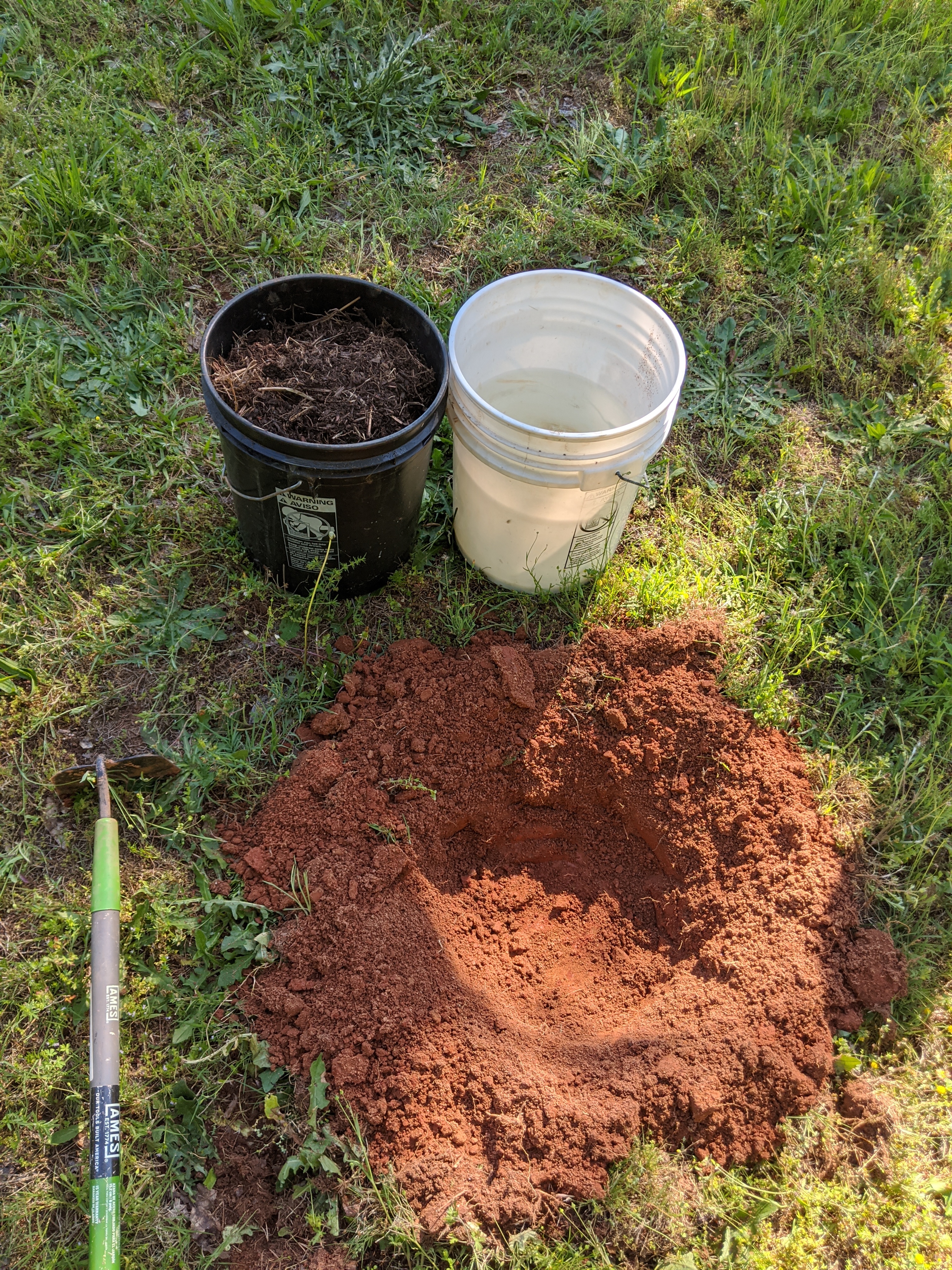 Planting Fig Tree Offshoots : 8 Steps - Instructables