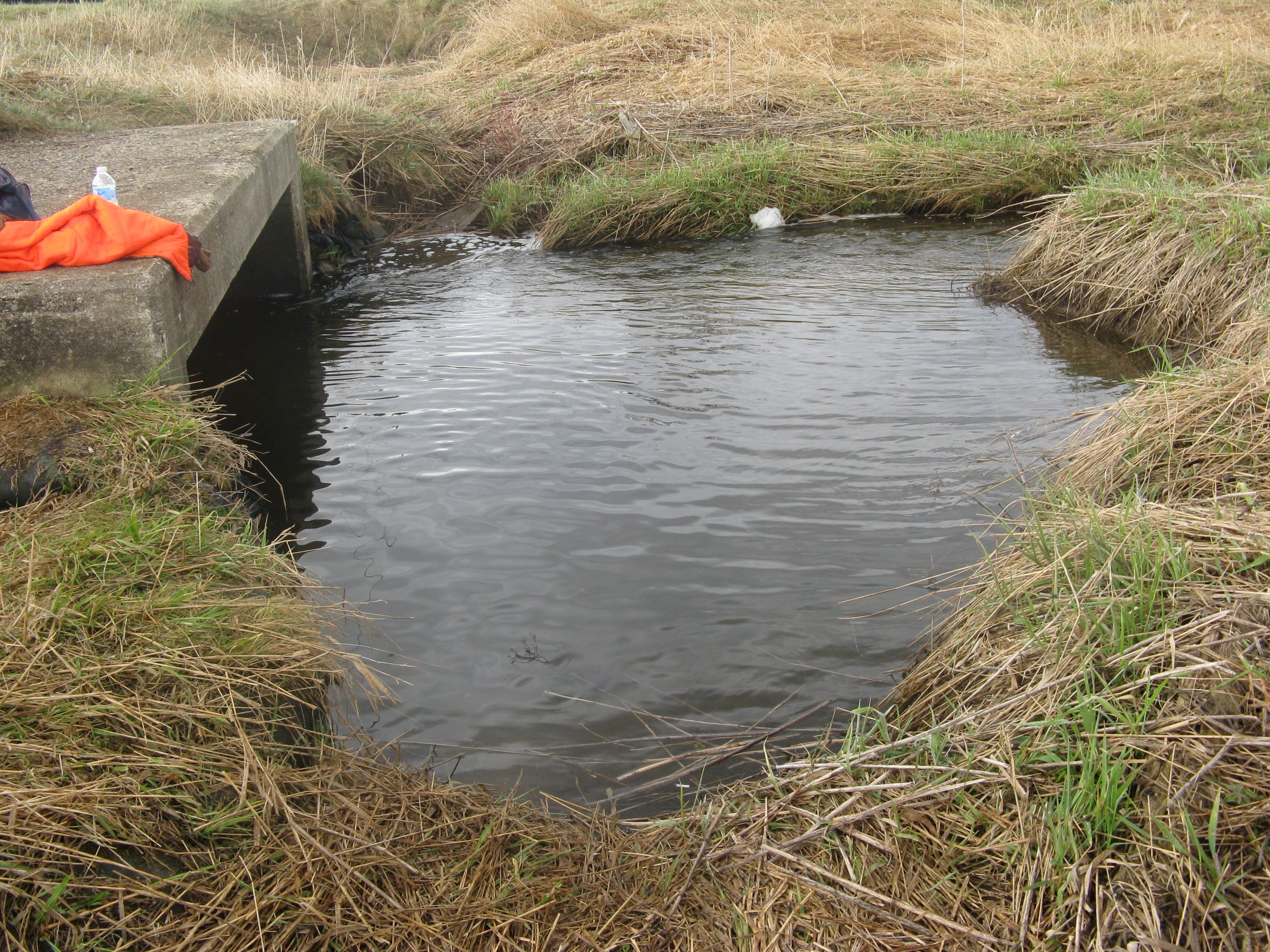 Fresh Trout Breakfast : 10 Steps (with Pictures) - Instructables