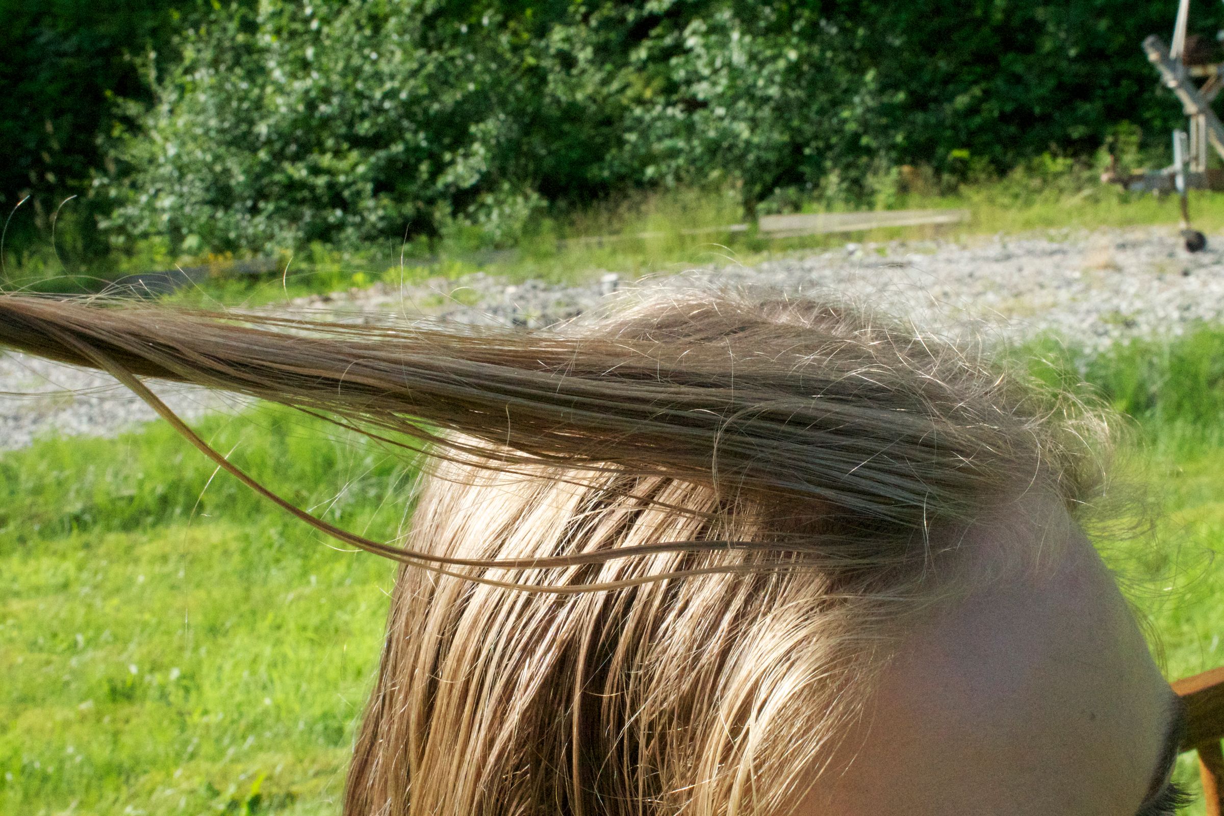 Summer Side-Swept French Braid : 5 Steps (with Pictures) - Instructables