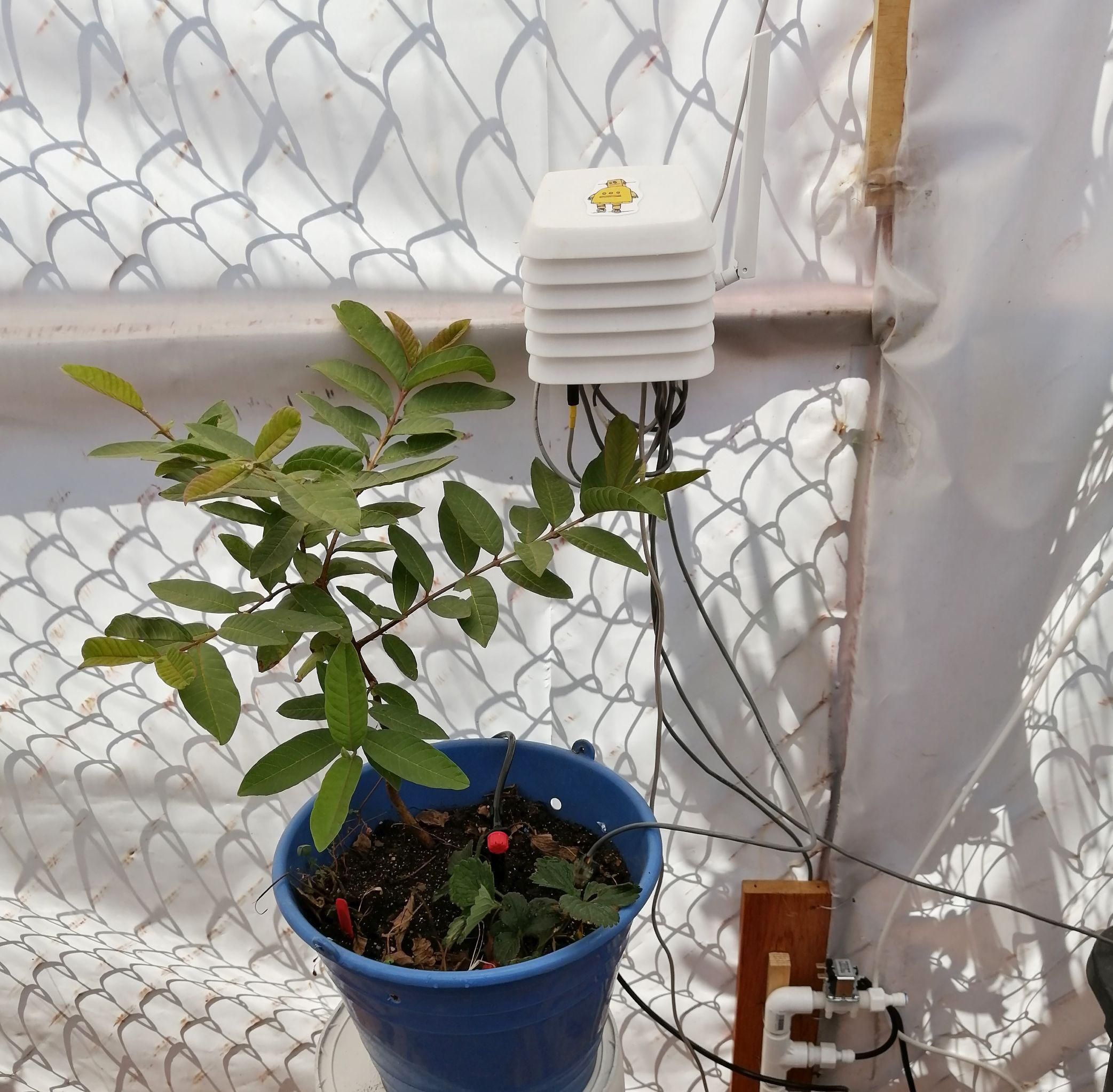 Autonomous Solar-powered Irrigation & Monitoring Station : 12 Steps ...