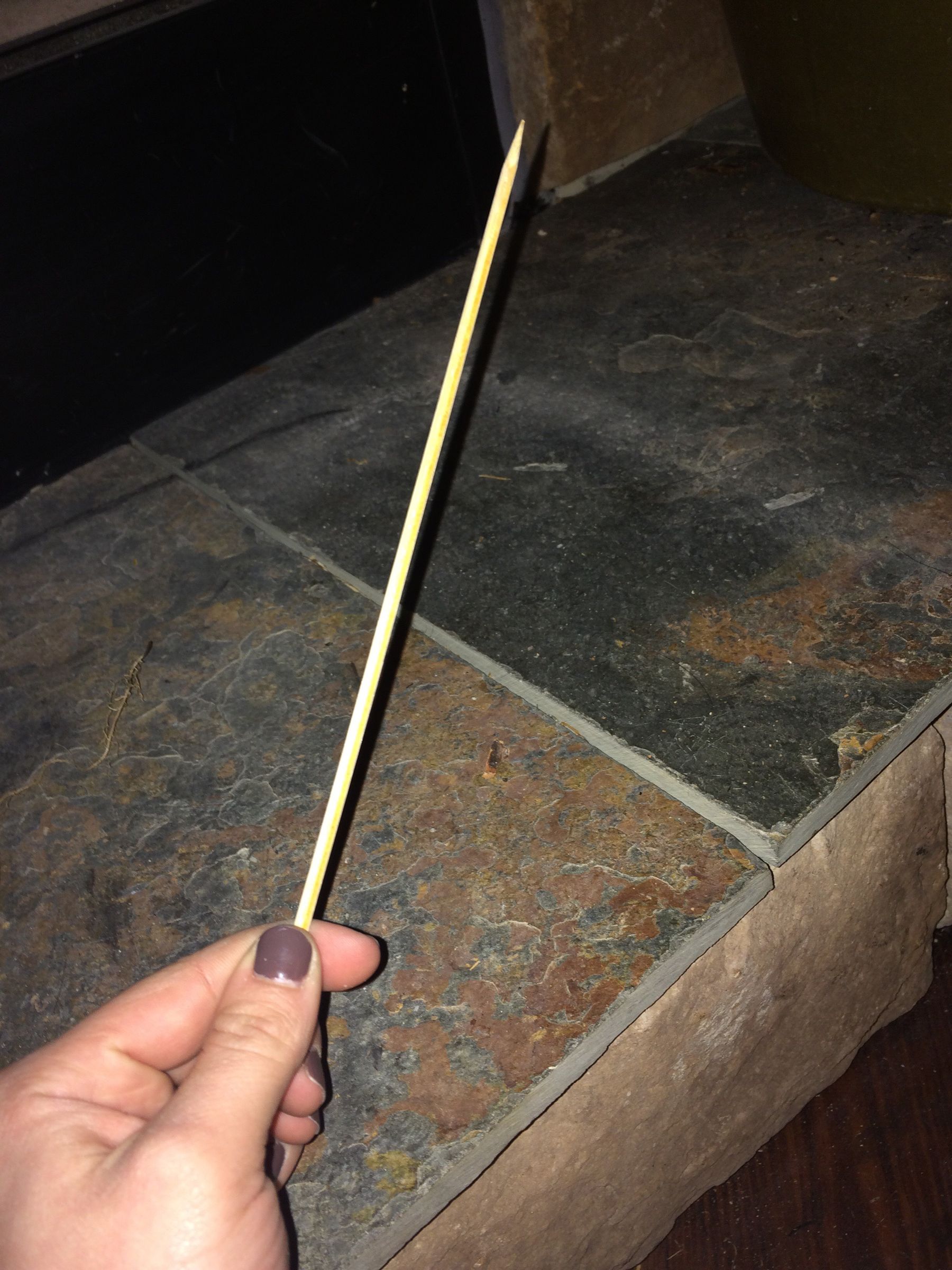 How to Roast the Perfect Marshmallow : 4 Steps - Instructables