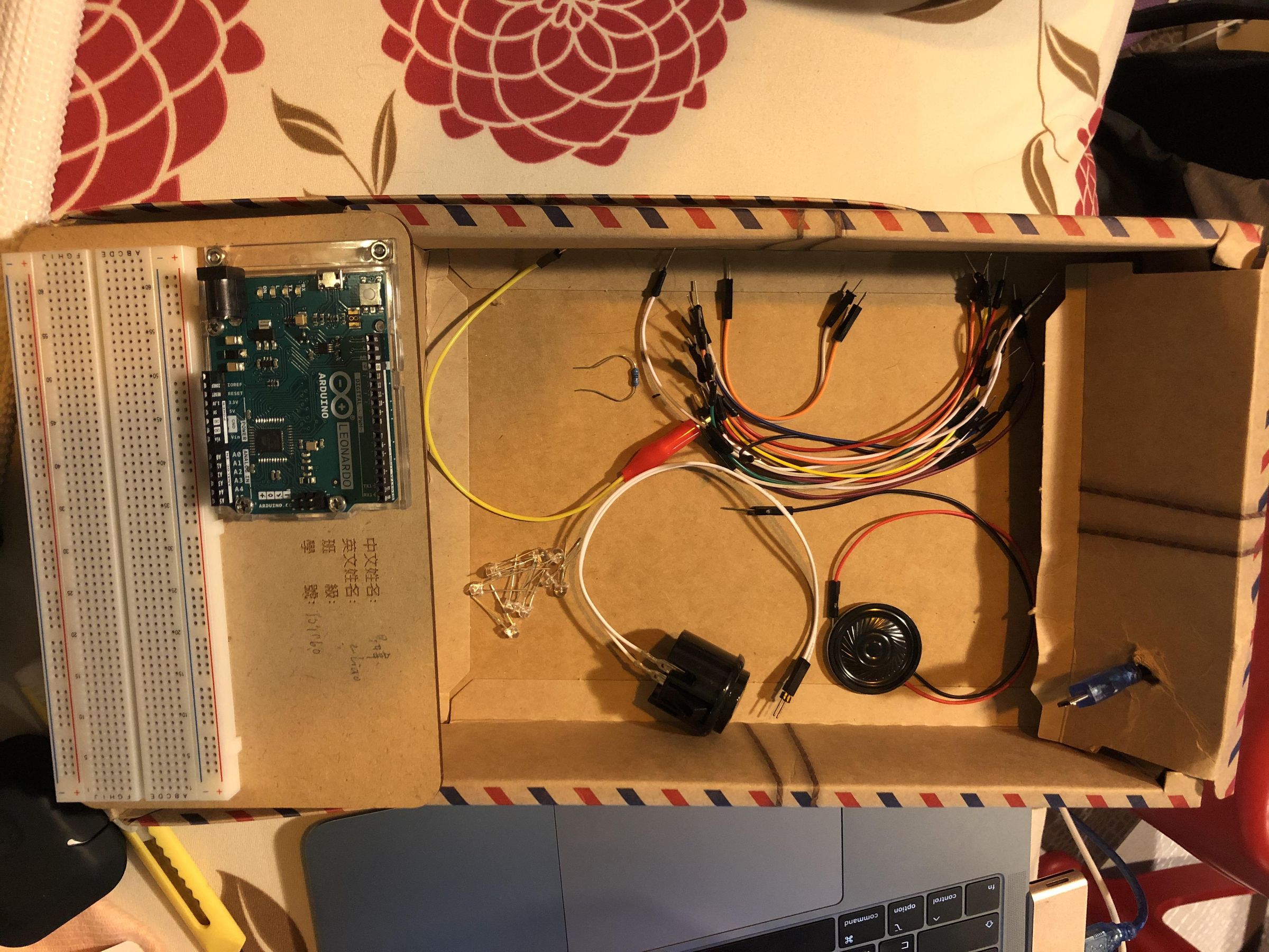 Arduino LED Music Doorbell : 4 Steps - Instructables
