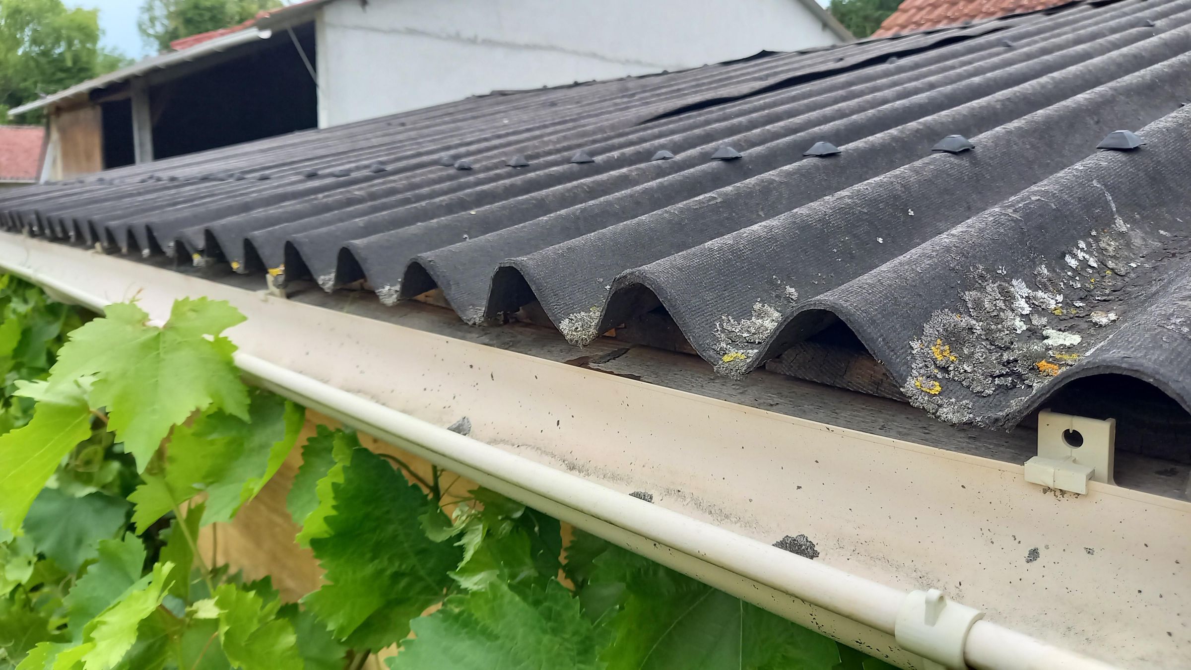 Connected Automatic Garden Watering System : 8 Steps (with Pictures ...