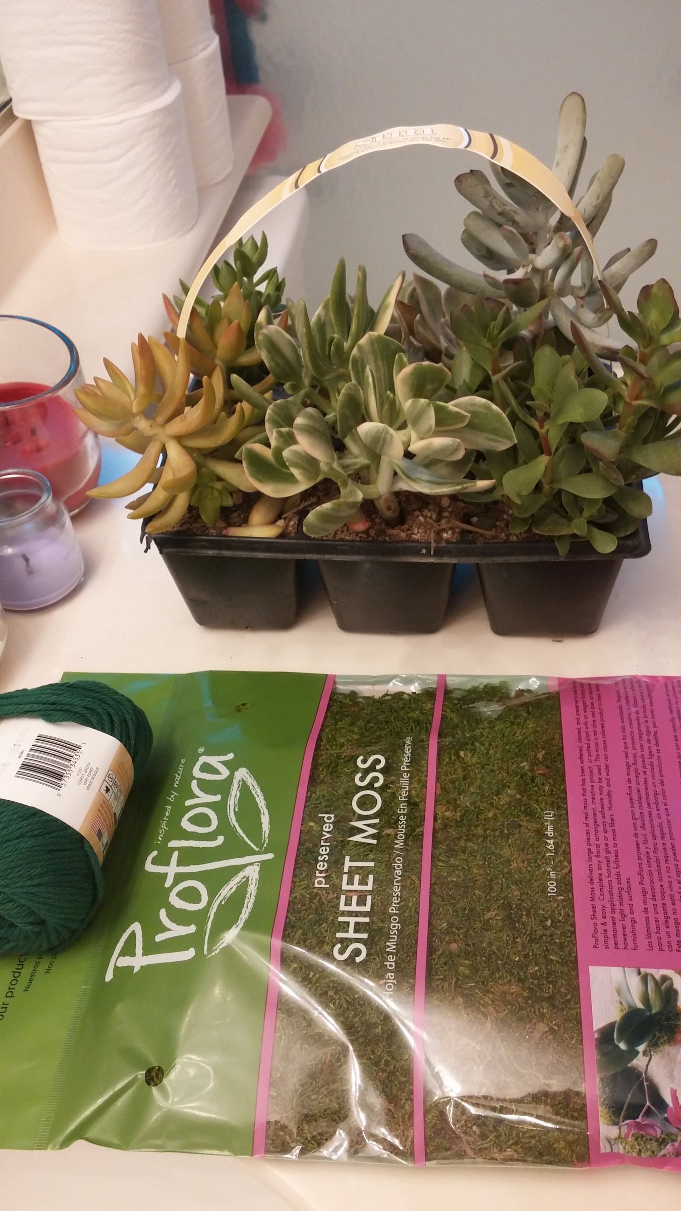 My String Garden : 3 Steps (with Pictures) - Instructables