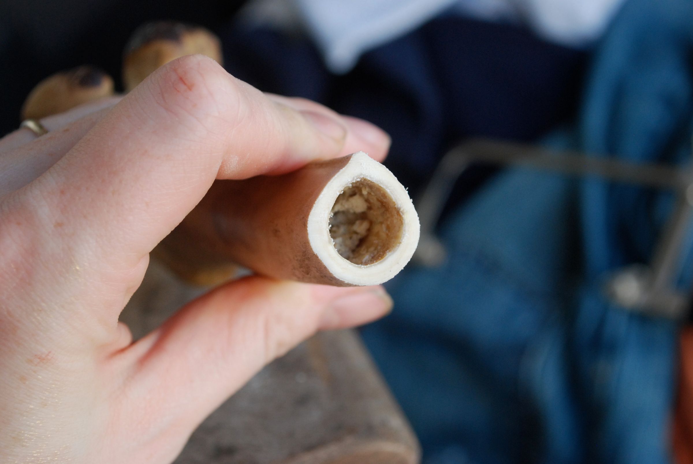 Bone Tunnel Plugs for Your Super-Sweet Gauged Ears : 5 Steps (with ...