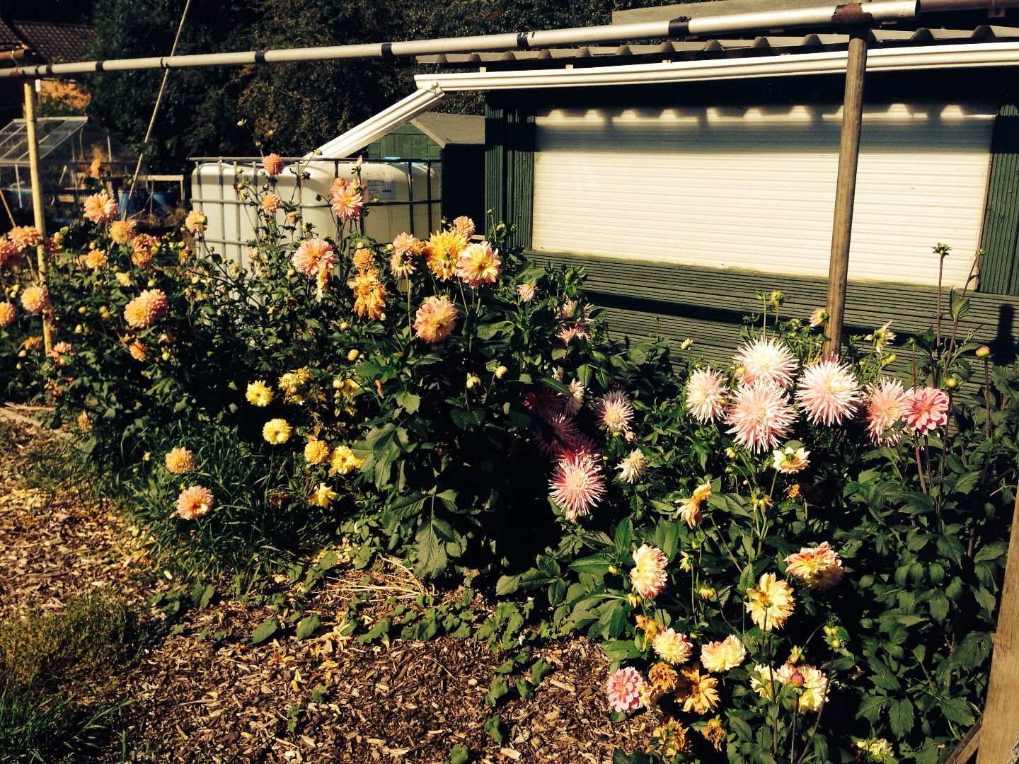 Scrap Wood to Shed Complex : 6 Steps (with Pictures) - Instructables