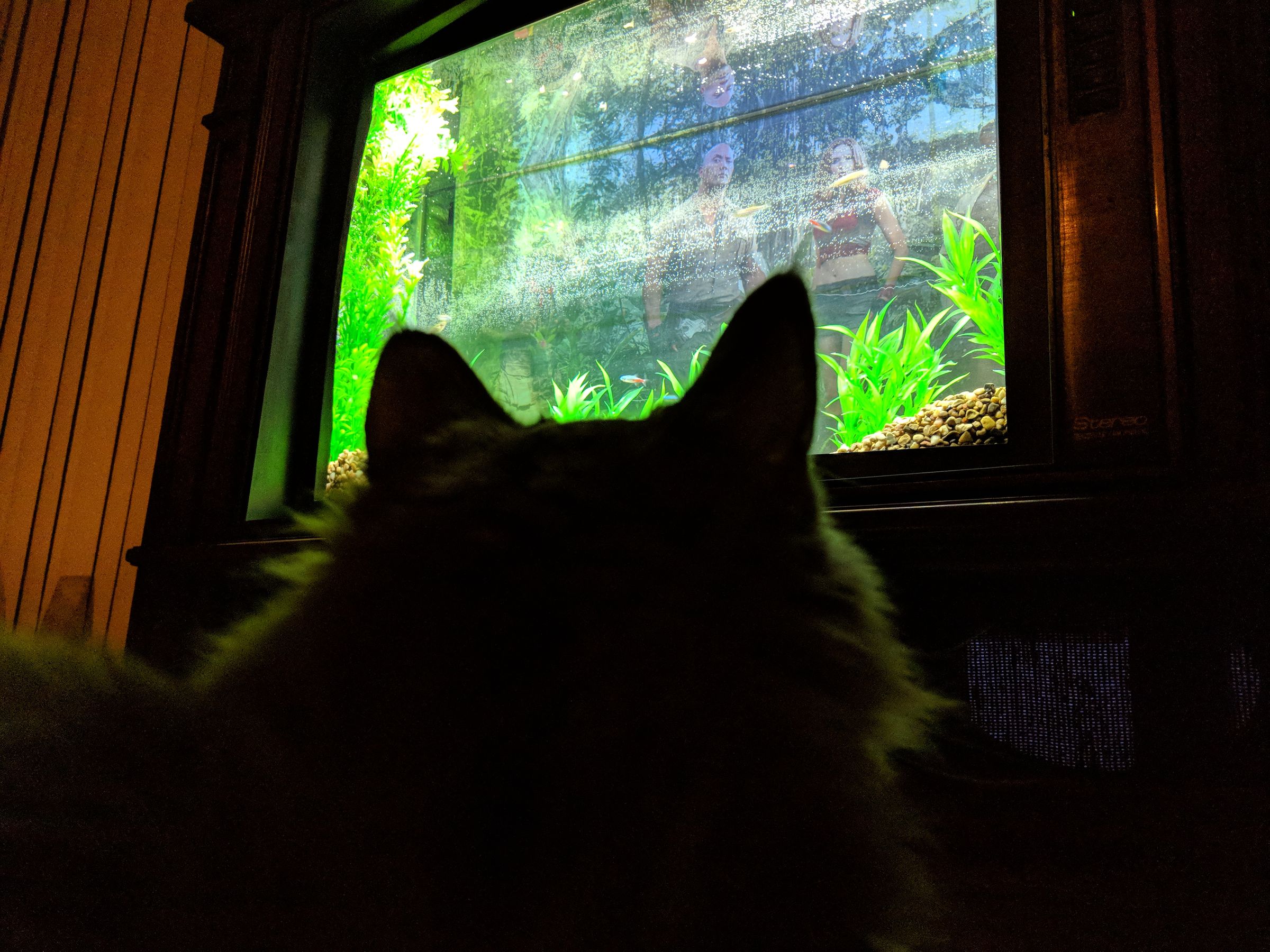 Build a TV Fish Tank : 6 Steps (with Pictures) - Instructables