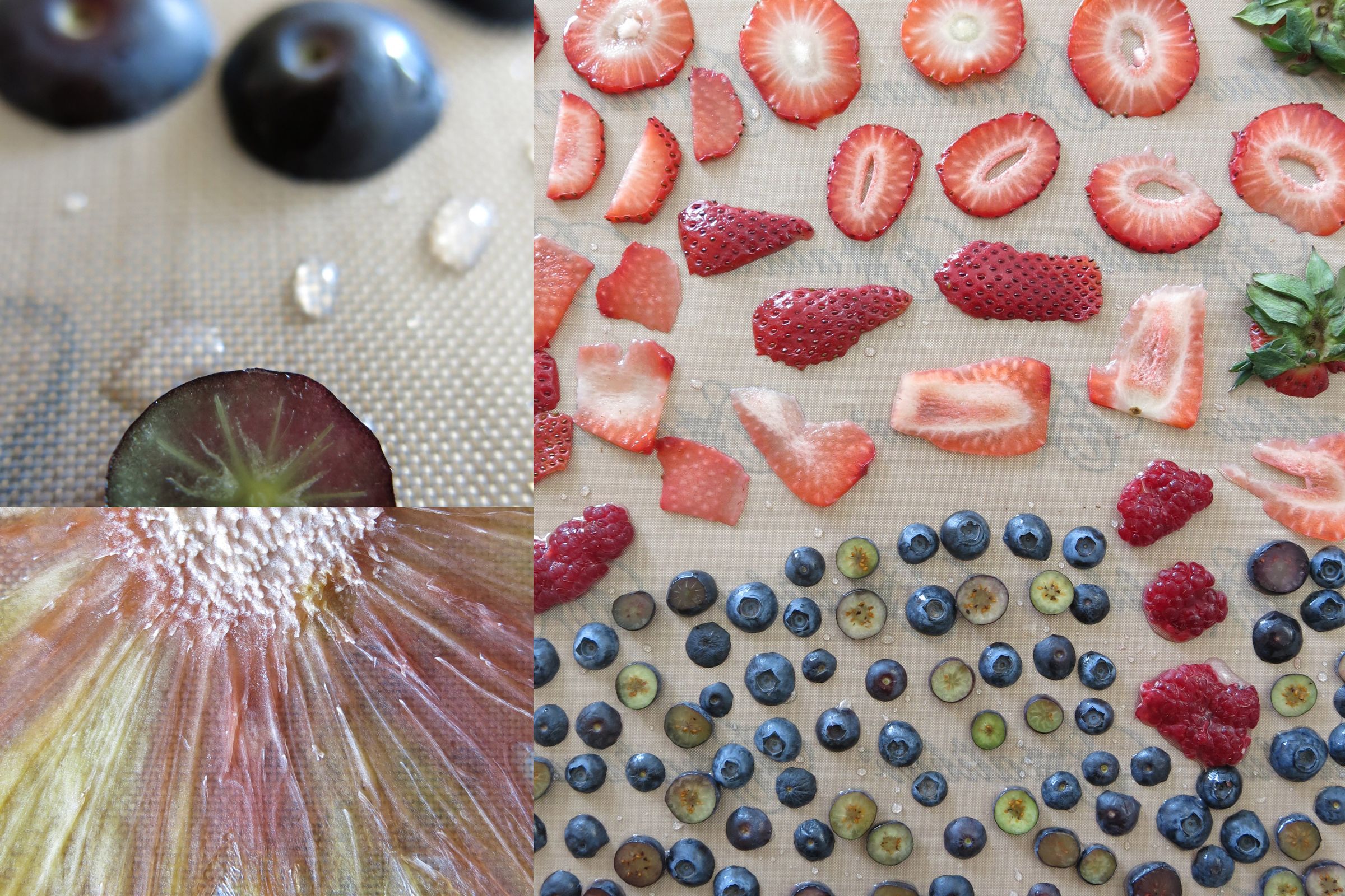 Fruit Glass Window : 20 Steps (with Pictures) - Instructables