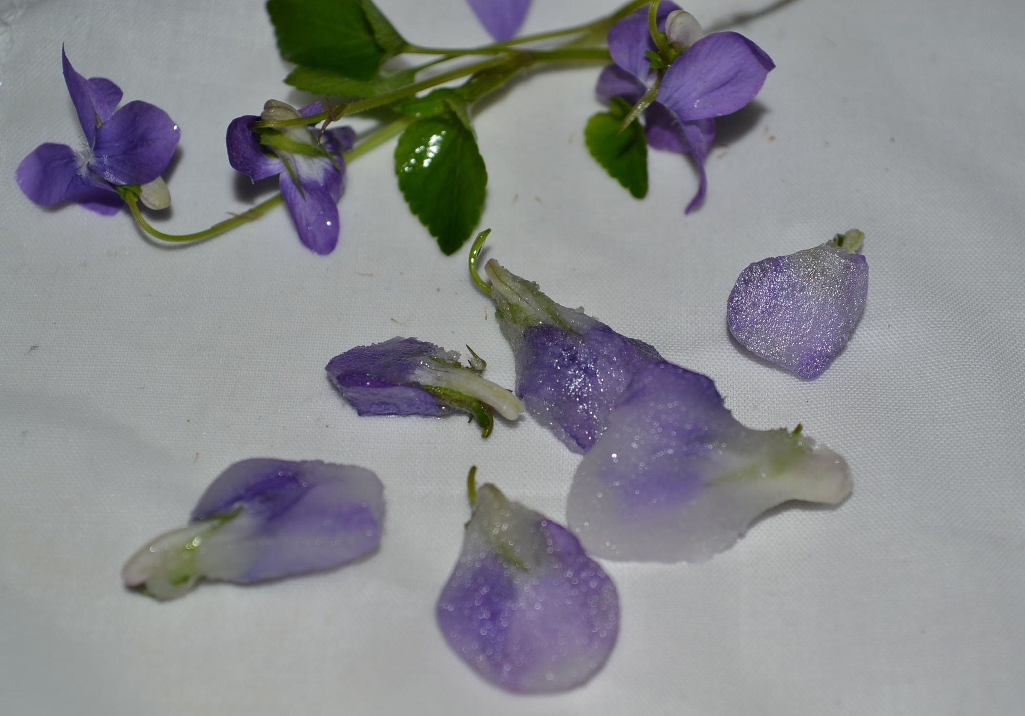 REAL VIOLETS CANDY : 5 Steps - Instructables