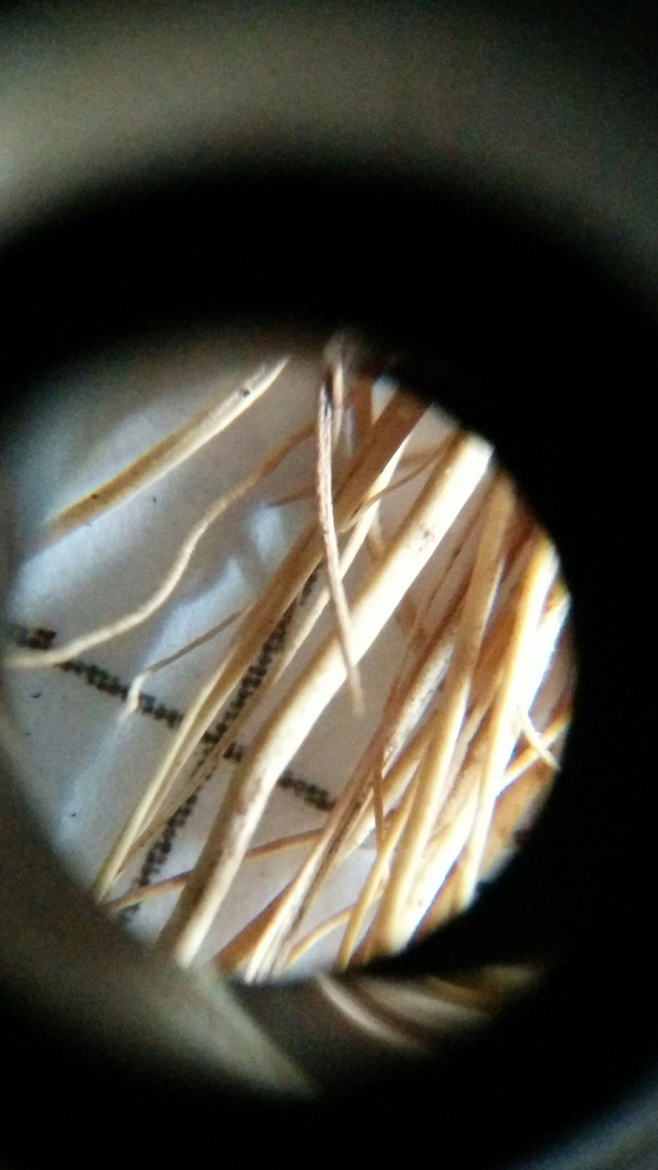 Microscope JIG for Phone Camera : 5 Steps (with Pictures) - Instructables
