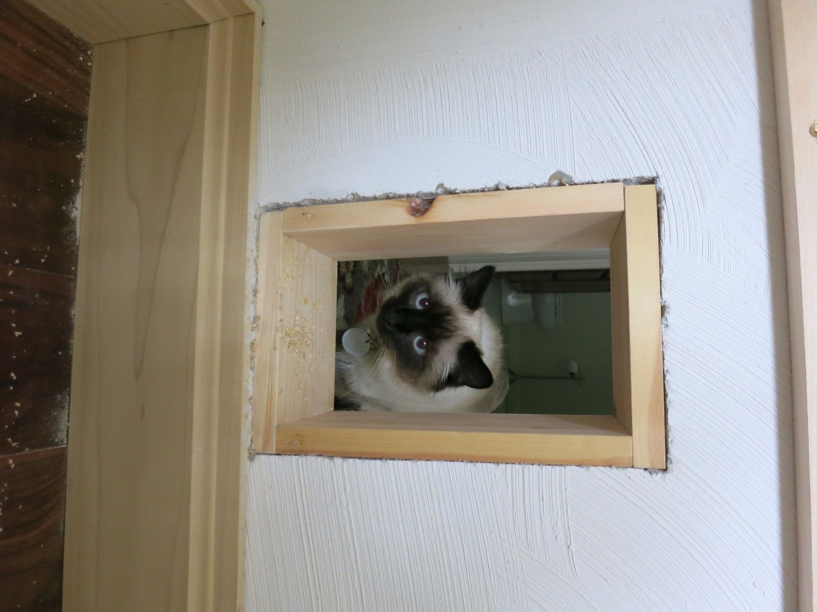 Litter Box Closet Conversion : 5 Steps (with Pictures) - Instructables