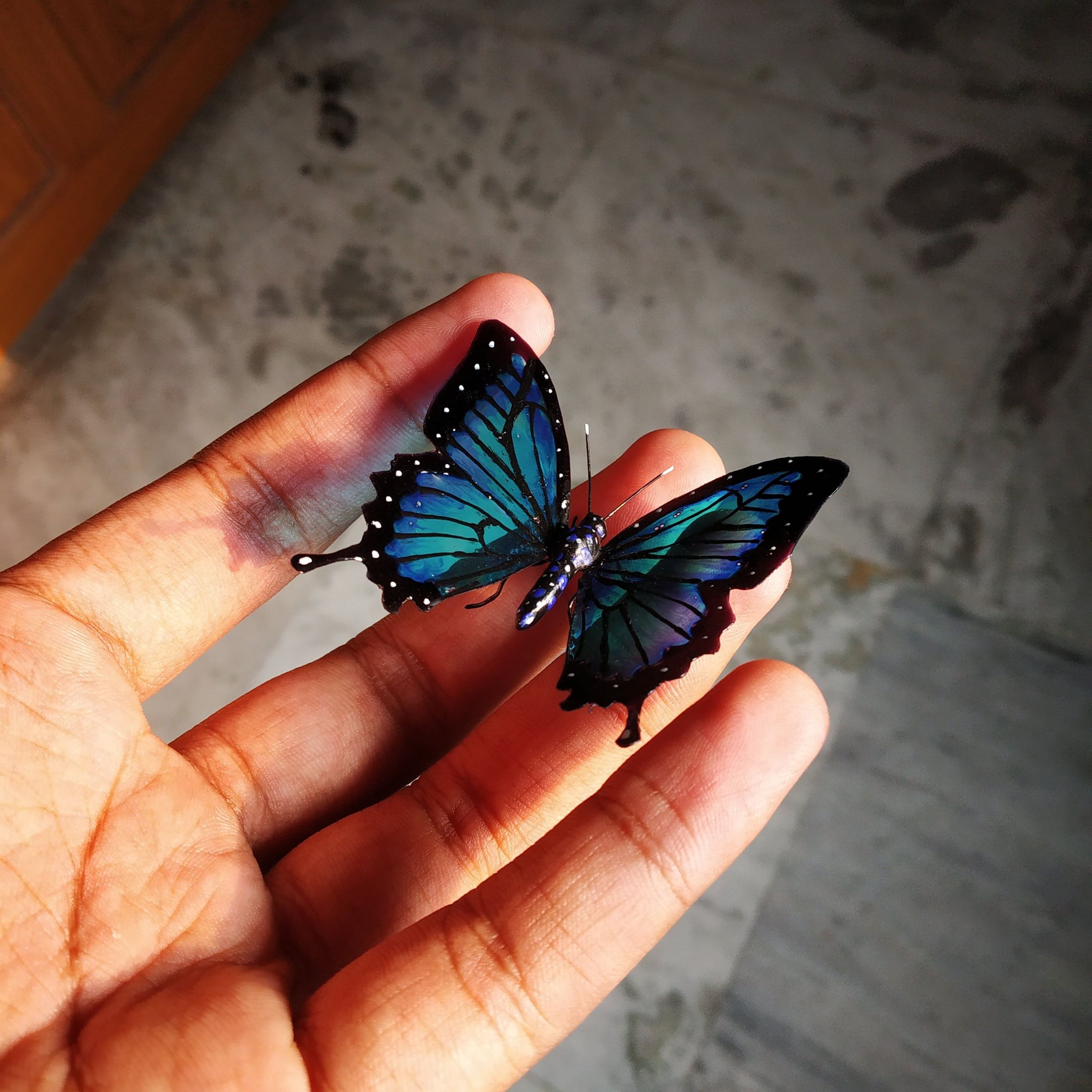 Real Rainbow Butterfly