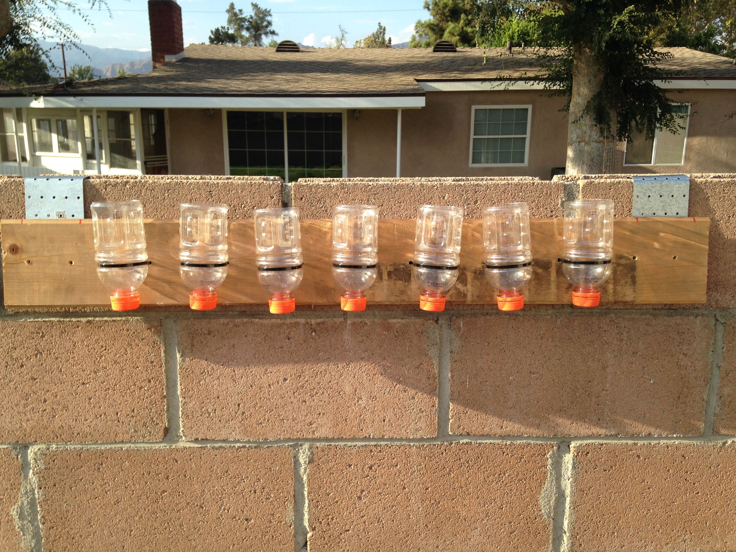 Gatorade Planter : 7 Steps - Instructables