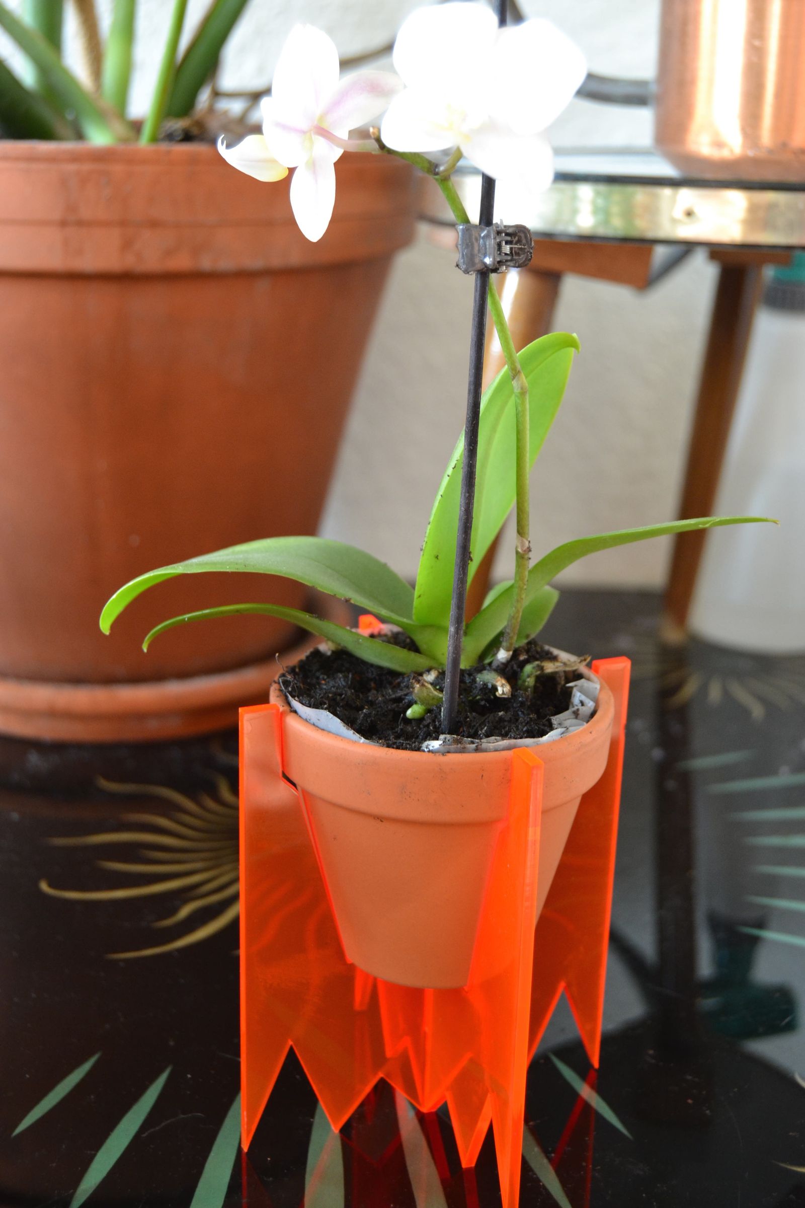 Laser Cut Planters : 7 Steps (with Pictures) - Instructables