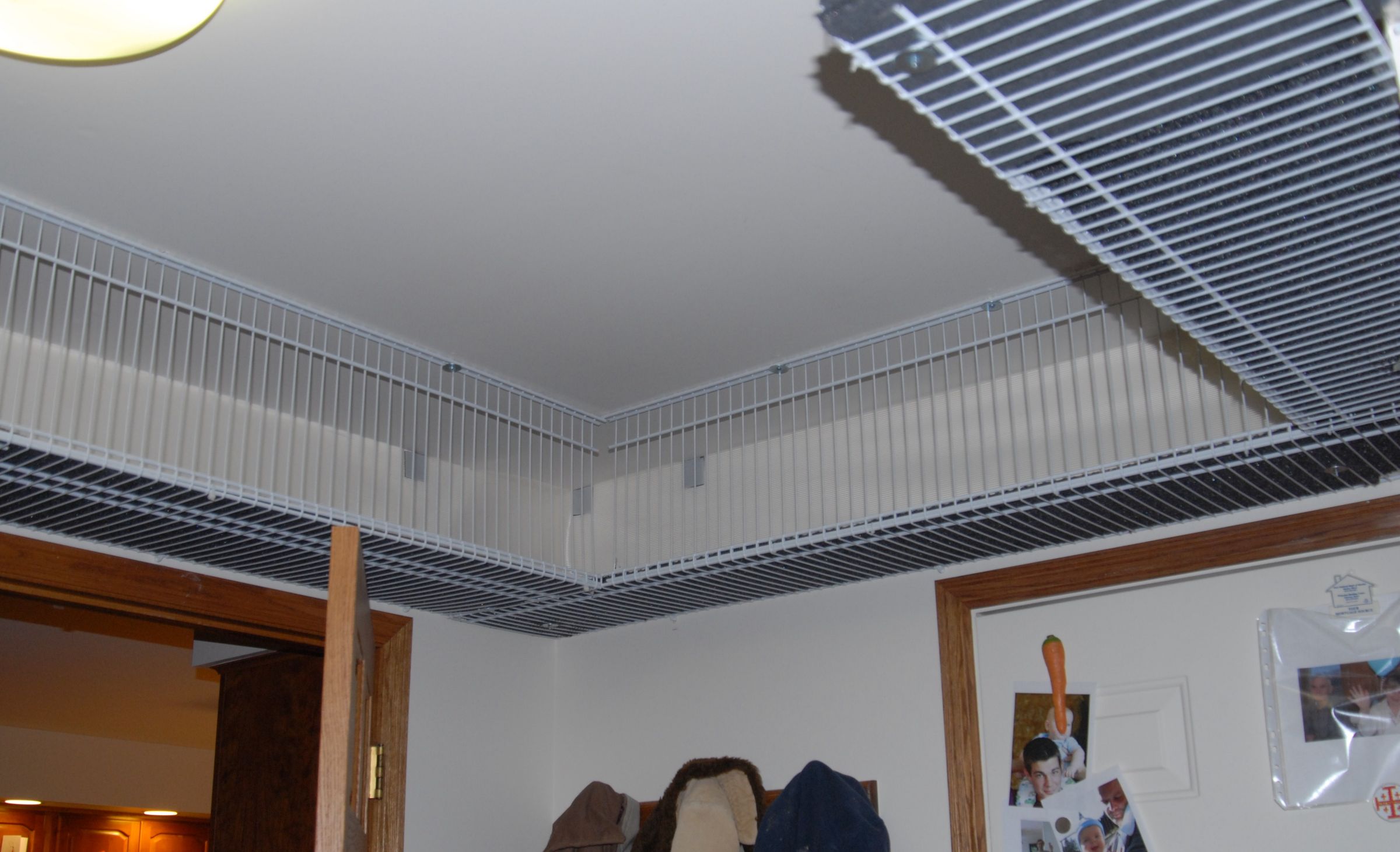 Cat Enclosure - Tunnel, Save Space ('CatWalk Is My Road' - AKahn ...