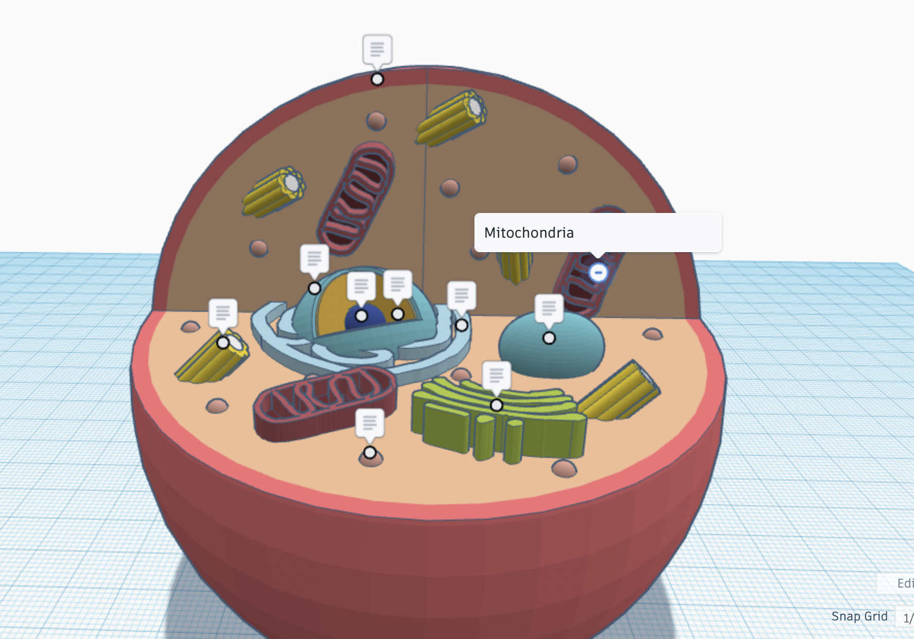 Parts of an Animal Cell : 8 Steps (with Pictures) - Instructables
