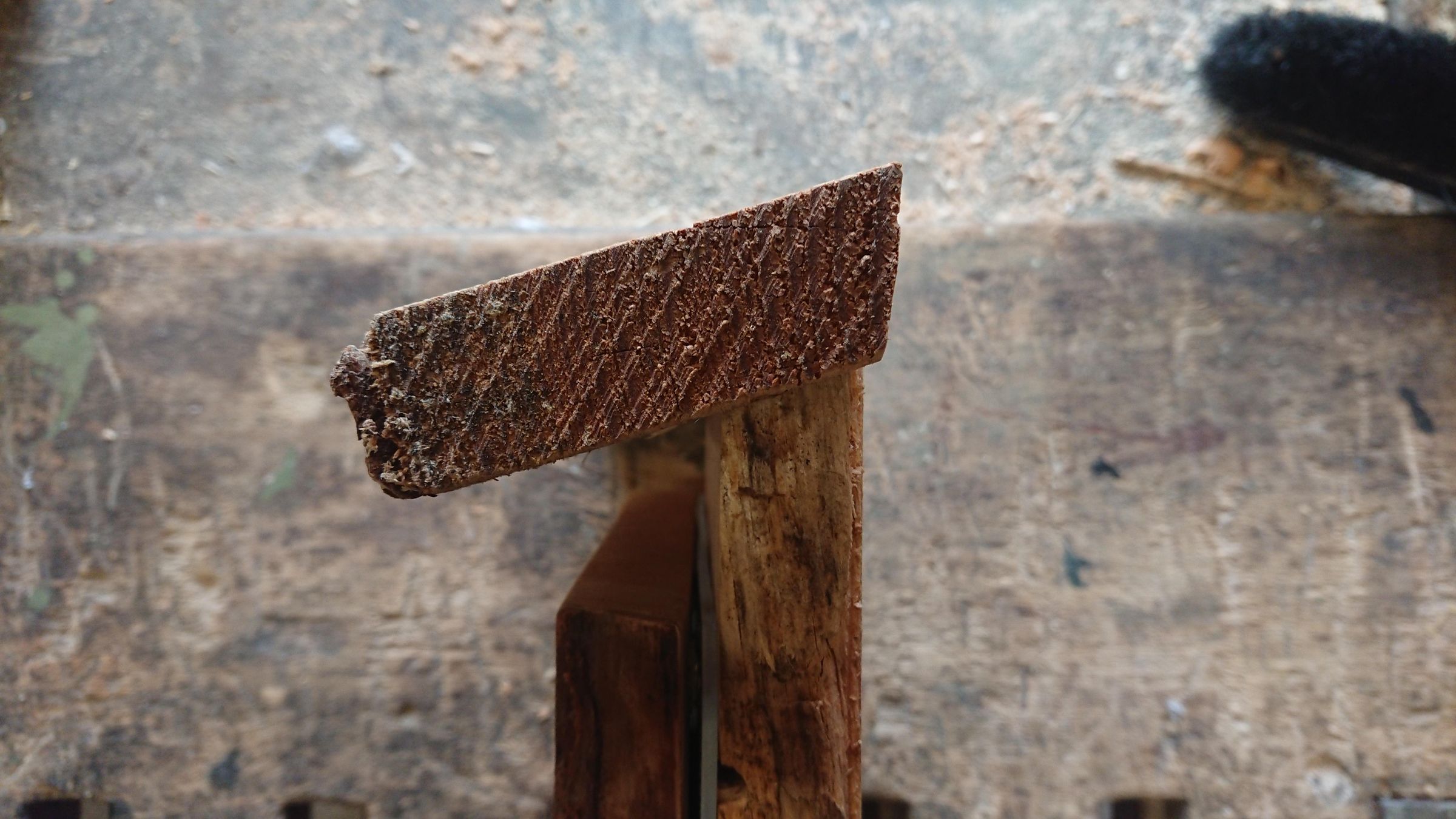 Bee Observatory : 4 Steps (with Pictures) - Instructables