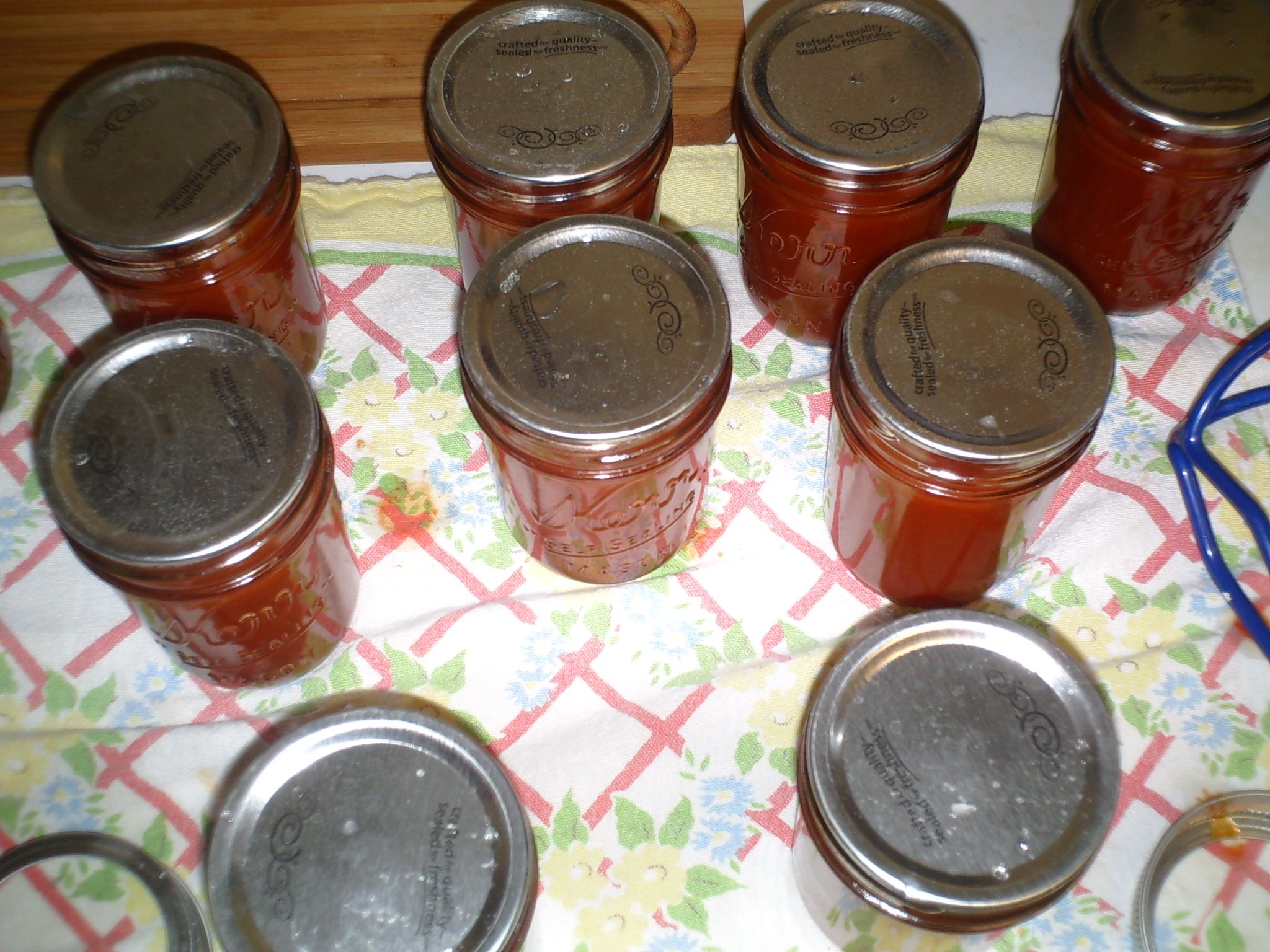 How to Make Homemade Ketchup and Can It : 10 Steps (with Pictures ...