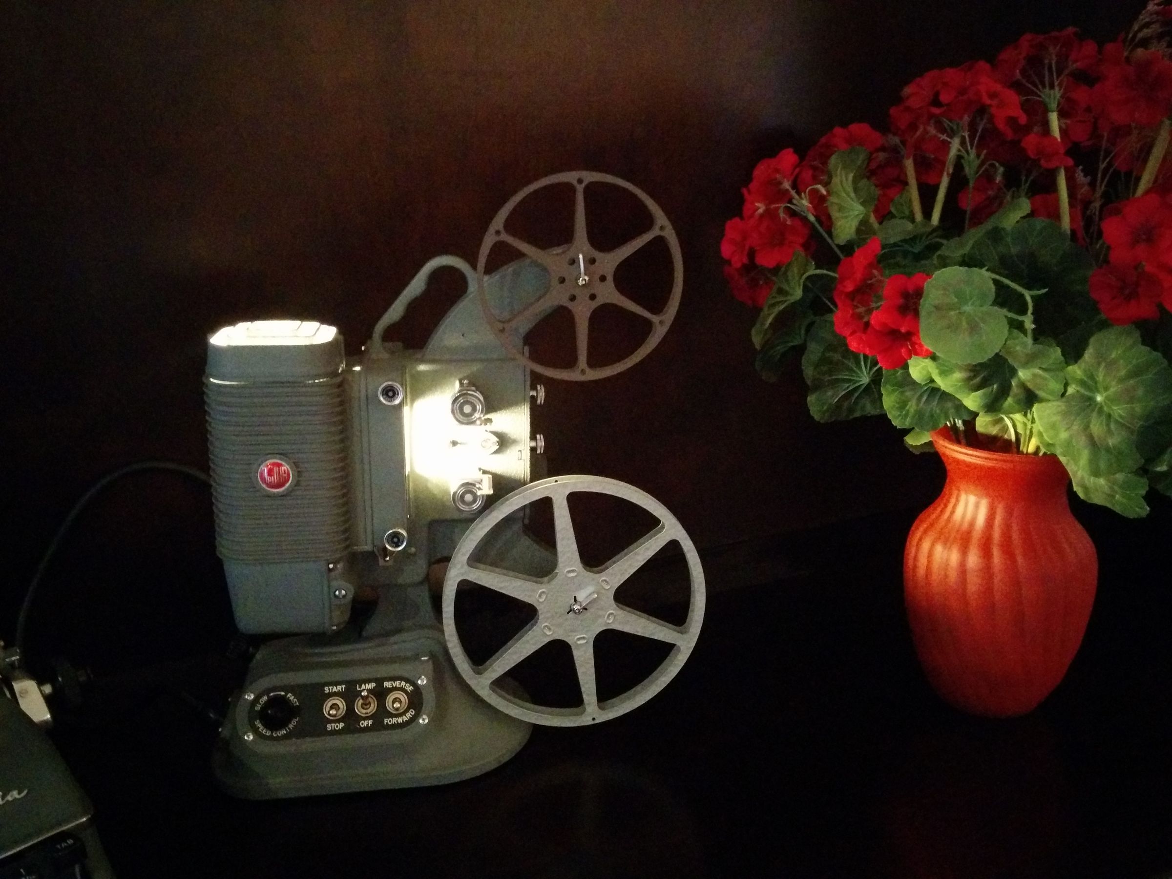 8mm Movie Projector Bulbs