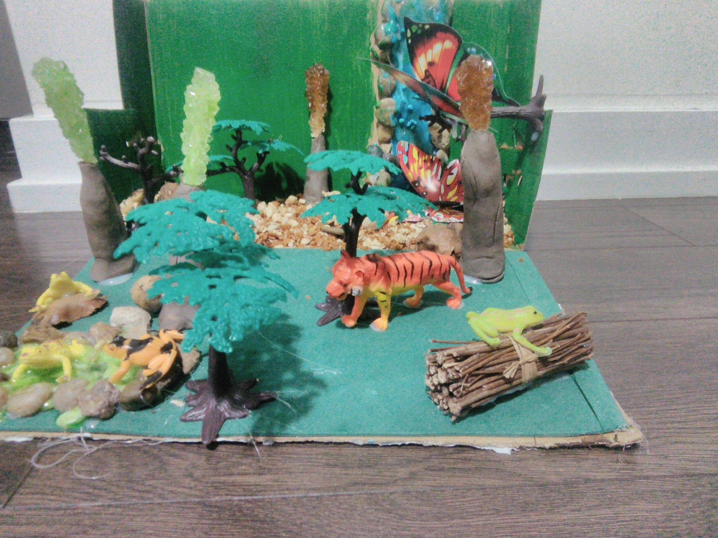 Rainforest Candy Ecosystem : 9 Steps - Instructables