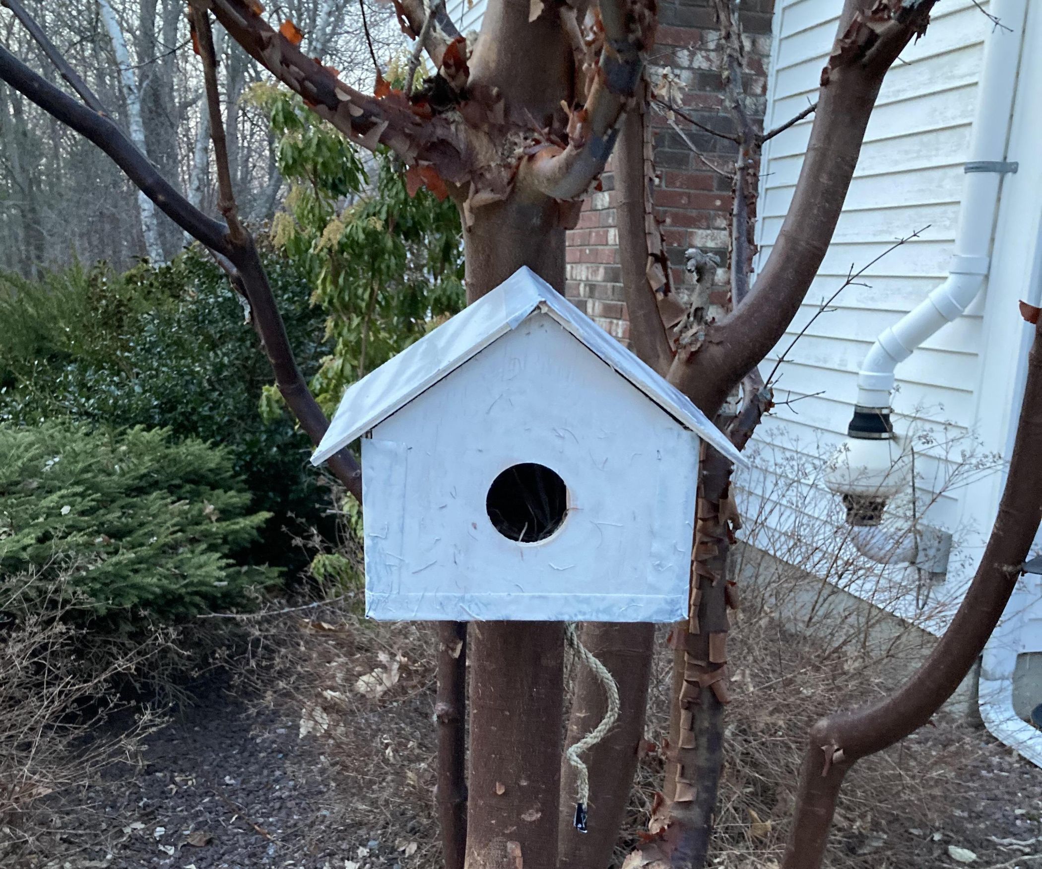 a Homie and Safe Birdhouse and Birdbath! : 8 Steps (with Pictures ...