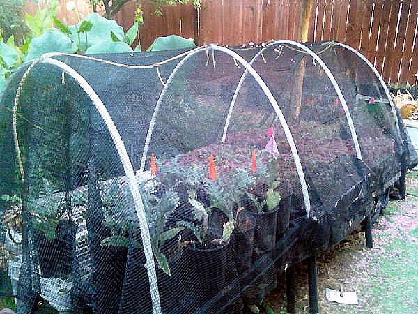 Build a Winter / Summer Grow Table : 7 Steps (with Pictures ...