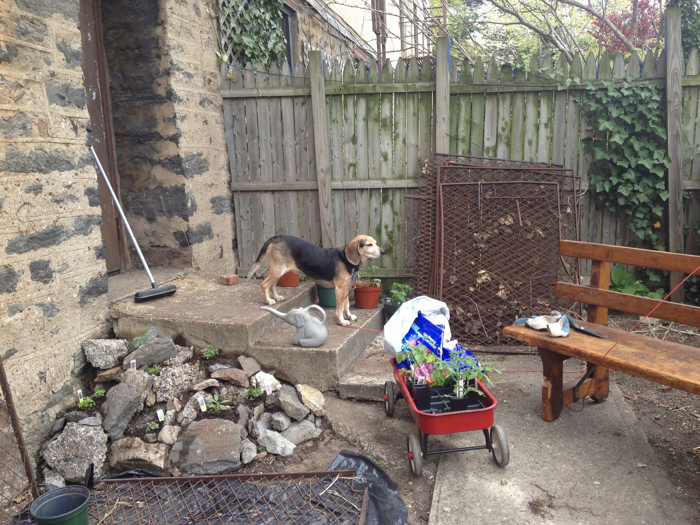 Build a Community Garden : 8 Steps (with Pictures) - Instructables