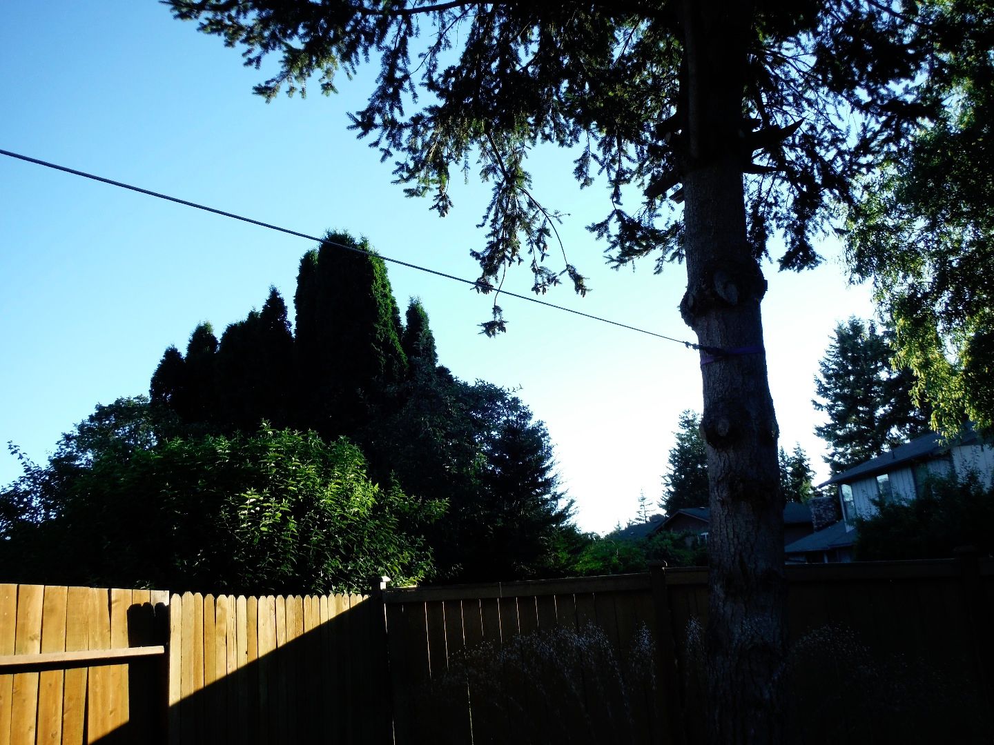 Zip Line Swing : 6 Steps - Instructables