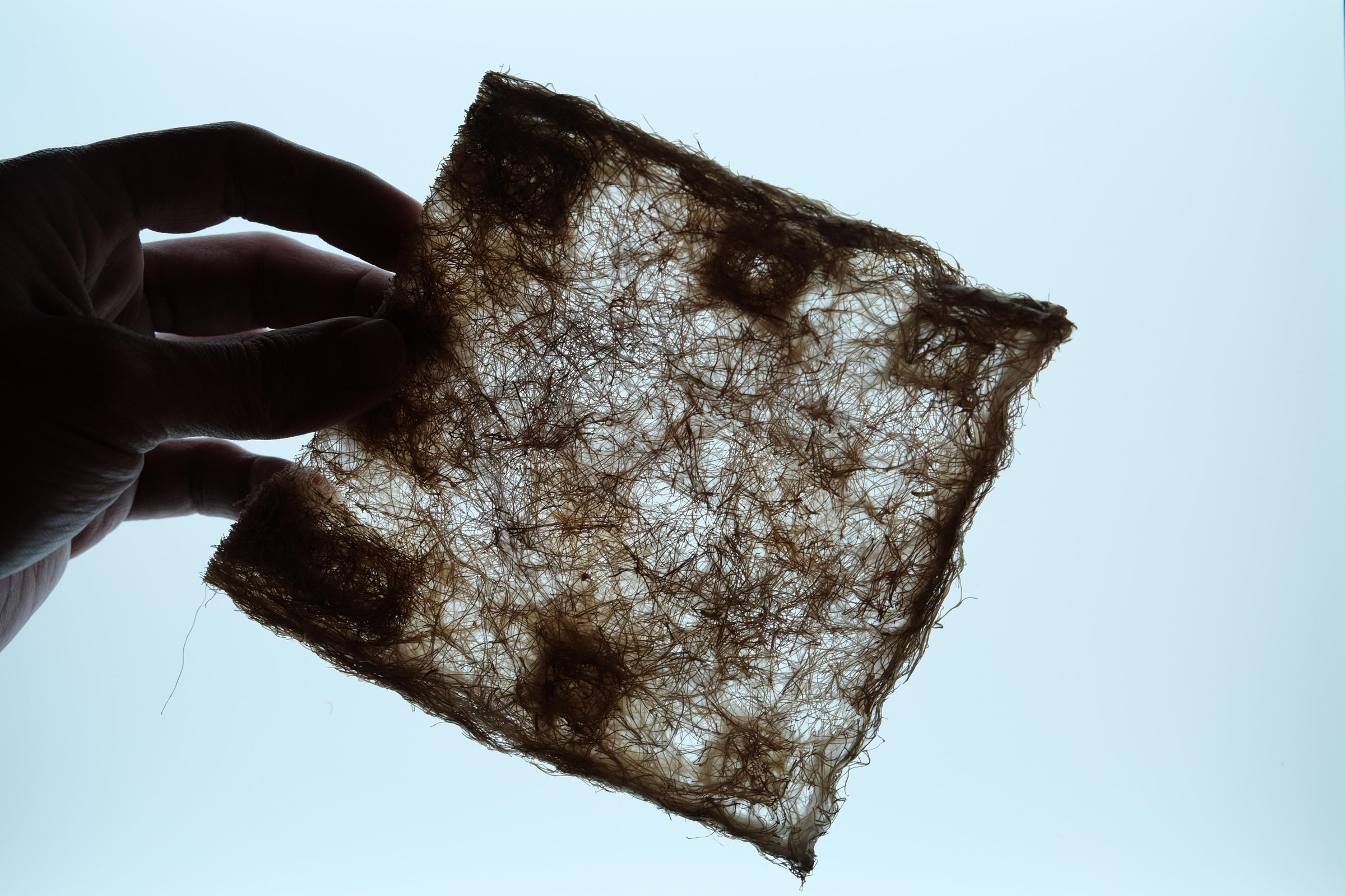 Make Wheatgrass Root Mats : 6 Steps (with Pictures) - Instructables