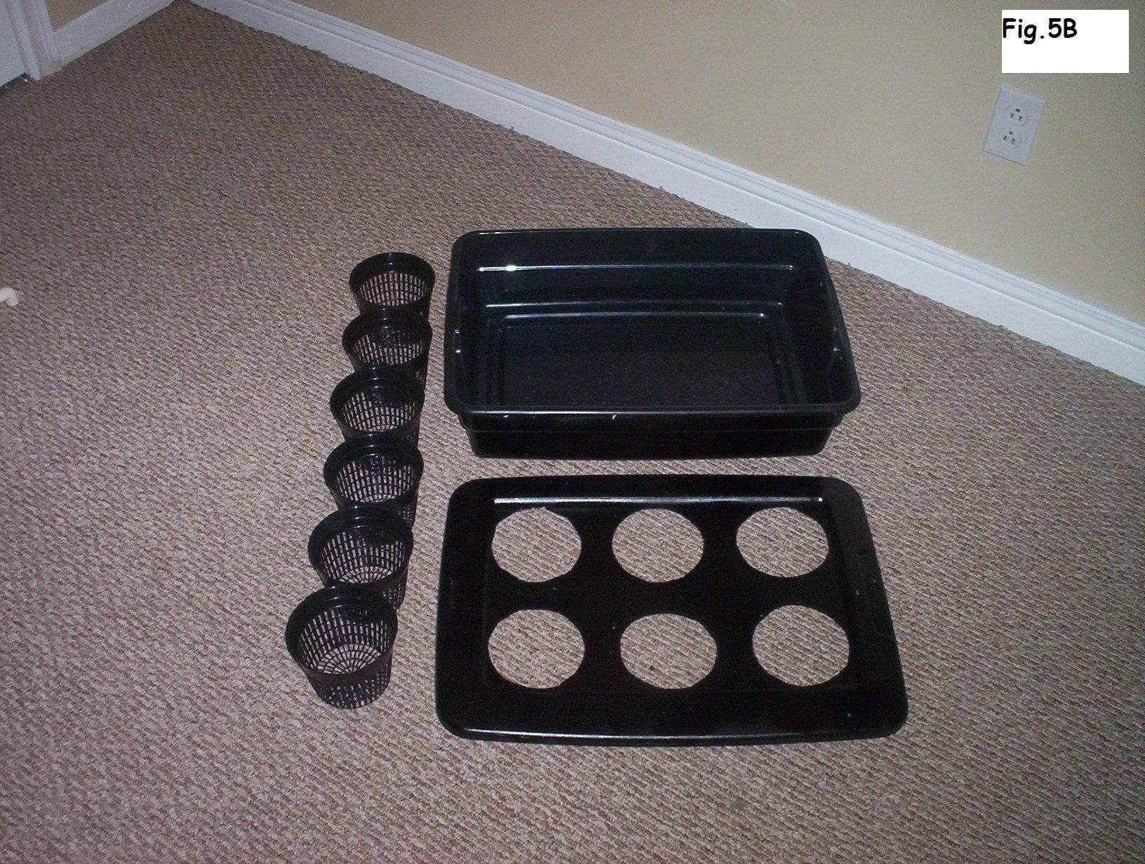 My Indoor DWC Hydroponics System : 10 Steps (with Pictures) - Instructables