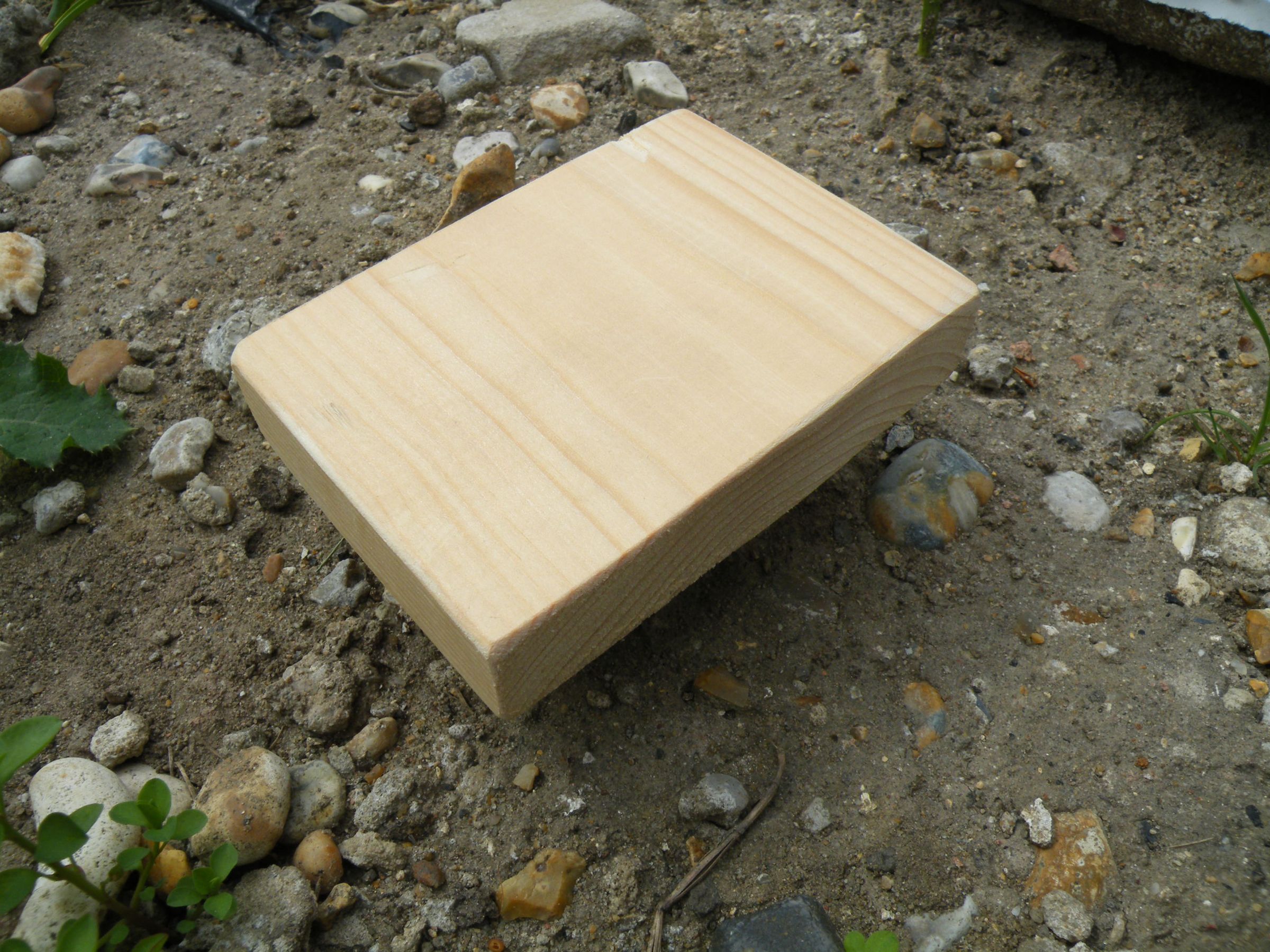 Animal Tracks for Plaster Casting. : 5 Steps (with Pictures ...