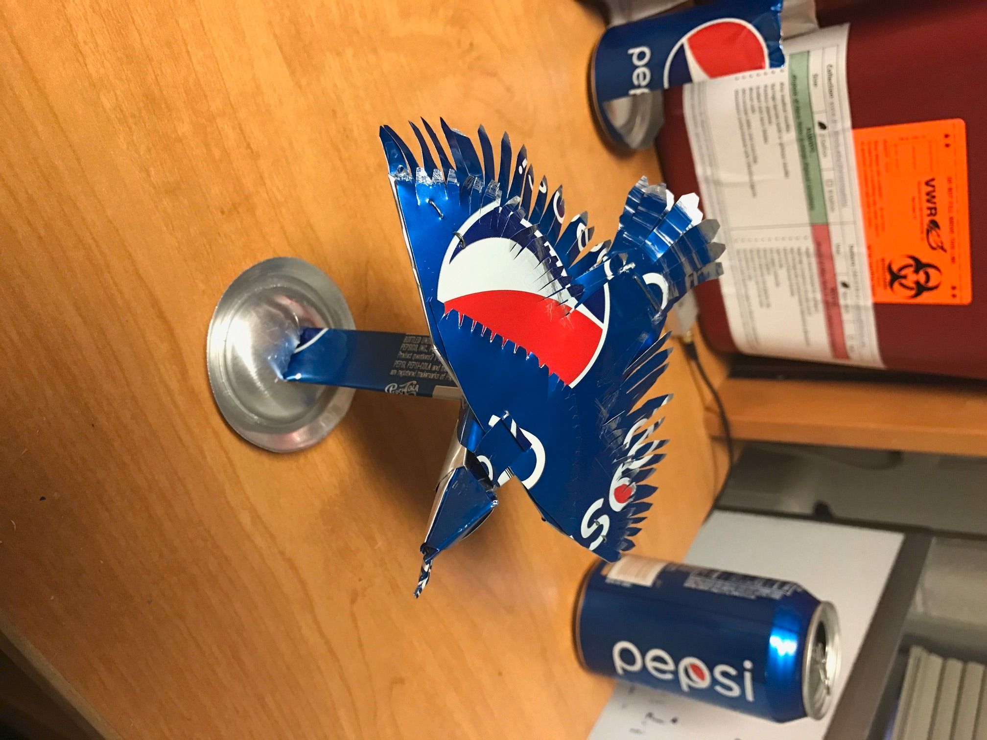Pepsi Bird : 4 Steps (with Pictures) - Instructables
