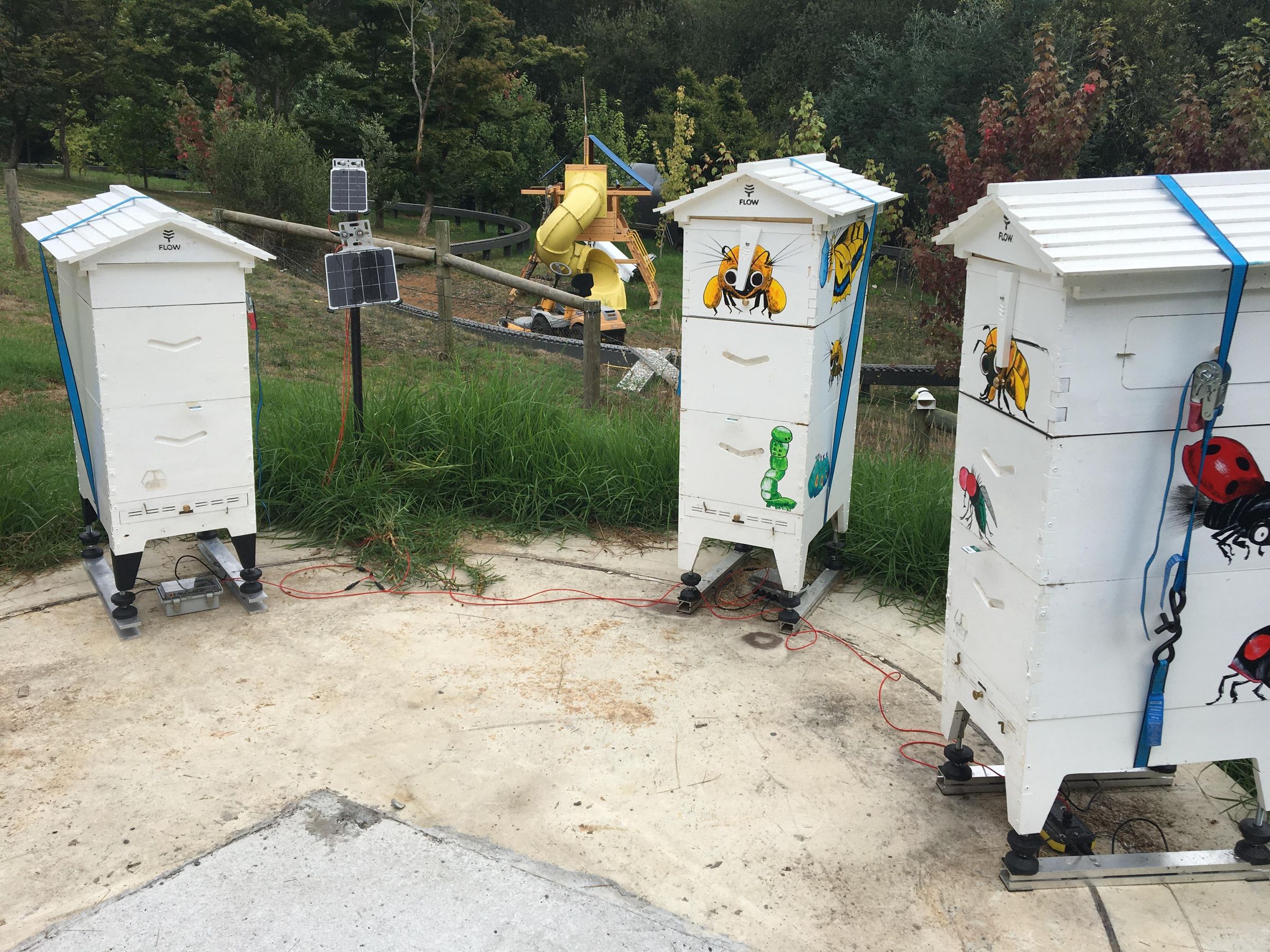 DIY HONEY BEE HIVE OBSERVATION DOME WITH IN HIVE FEEDER : 5 Steps (with ...