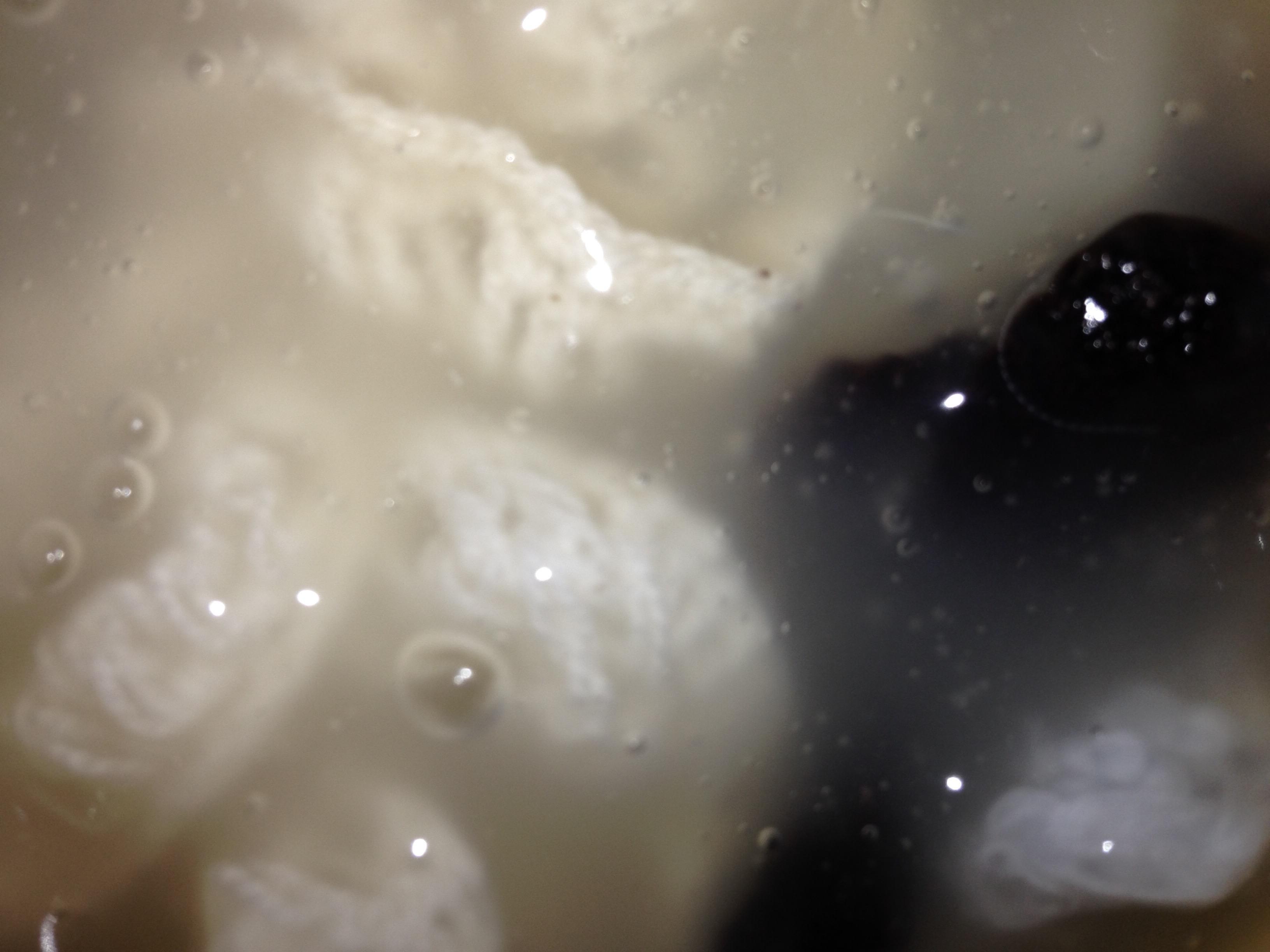 Crochet Facinator and How to Cut + Starch Crochet : 6 Steps - Instructables