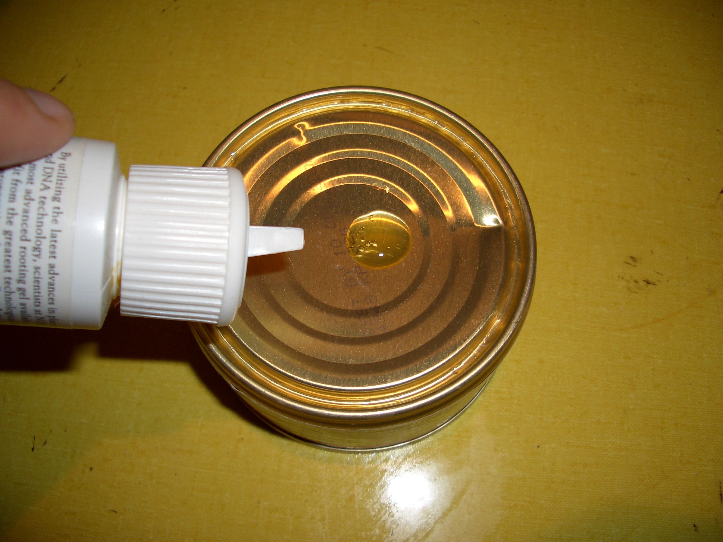 Rooting Plant Cuttings : 12 Steps - Instructables