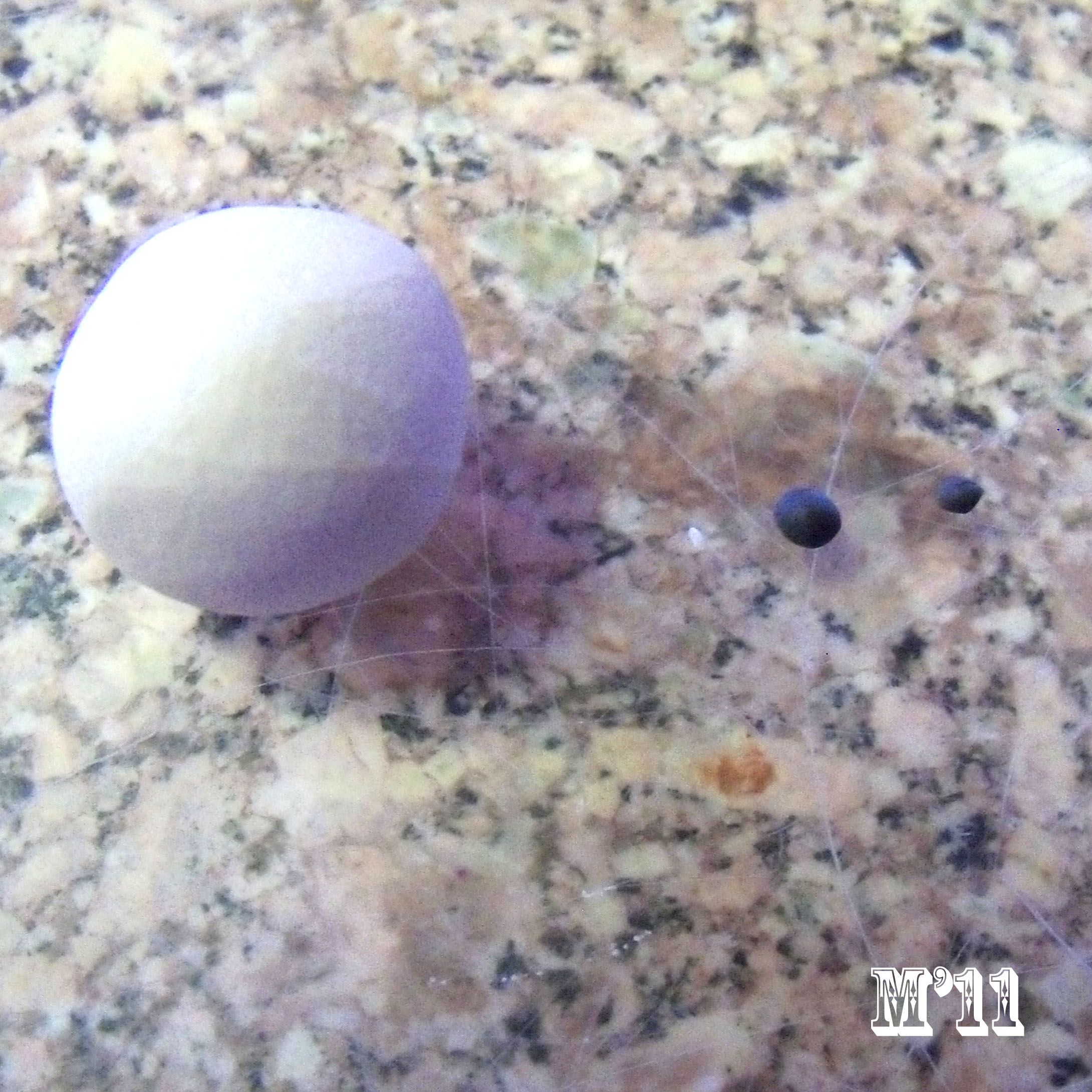 Polymer Clay Spiderweb and Skull Tutorials : 22 Steps - Instructables