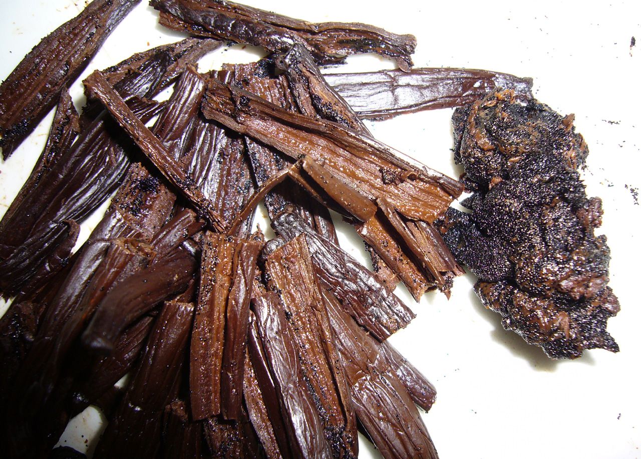Make Vanilla Extract : 23 Steps (with Pictures) - Instructables